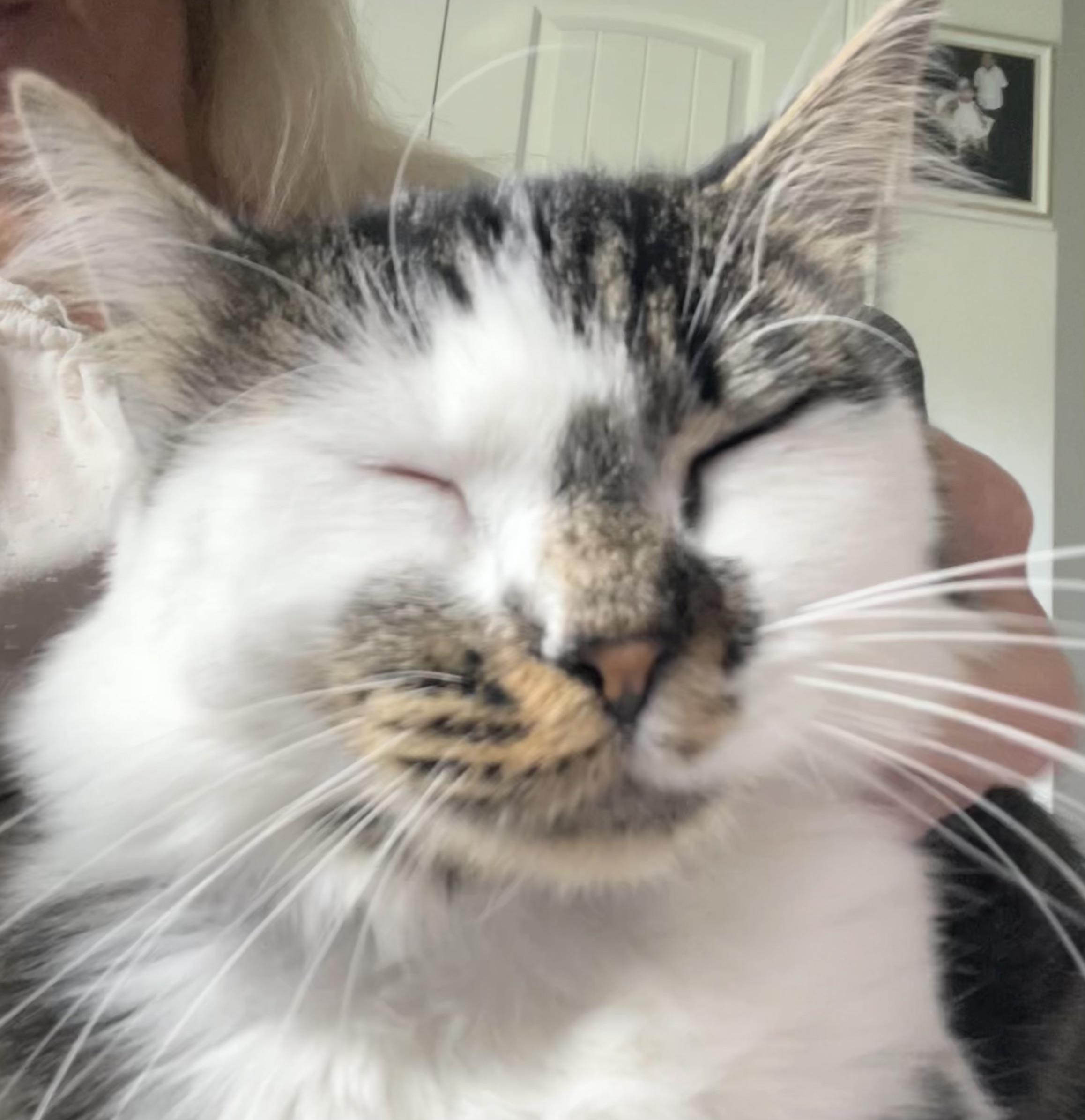 Happy Captain Beans and her perfect peanuts 🥜 | Scrolller