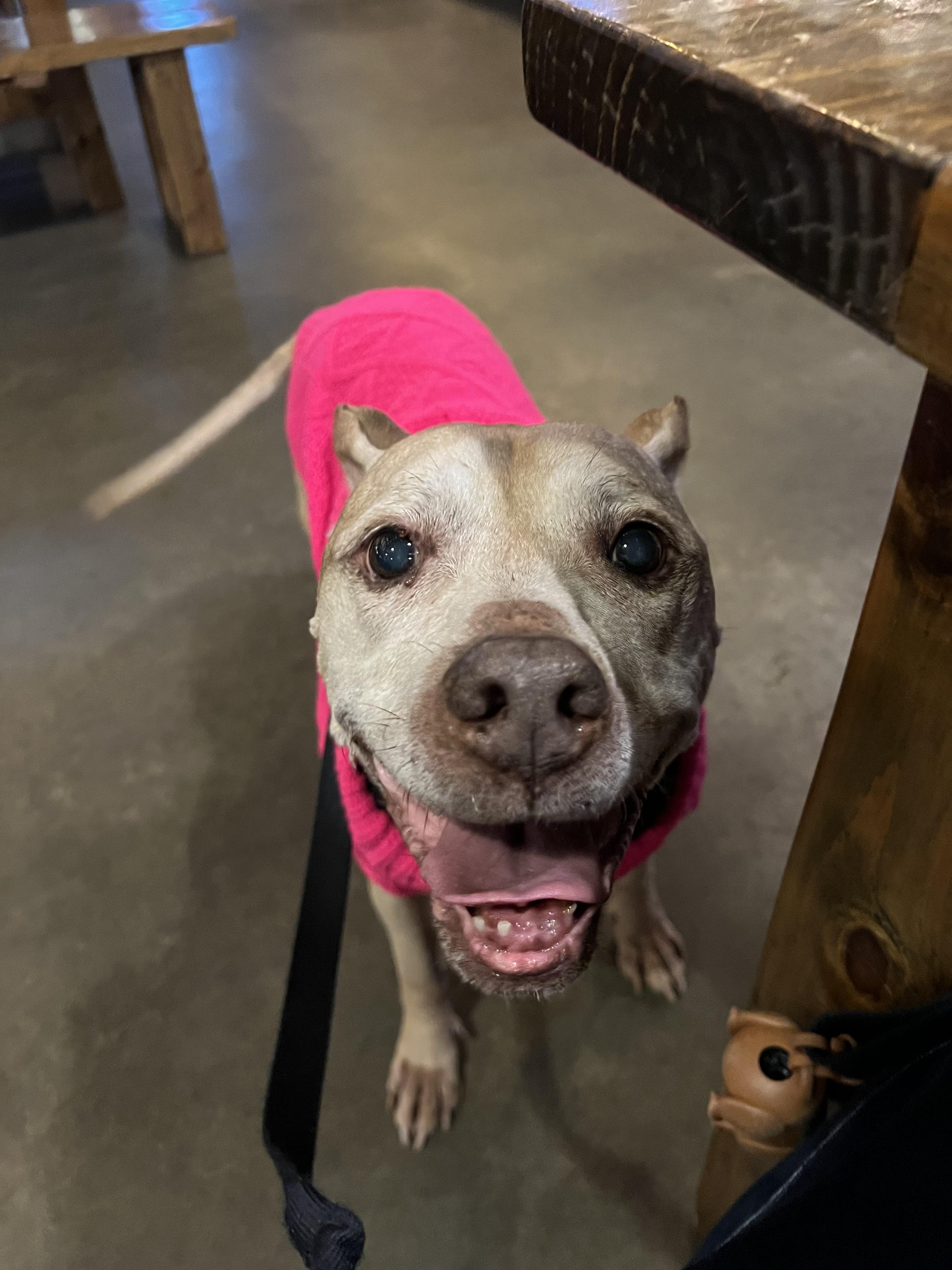 Happy old gal in her new sweater | Scrolller