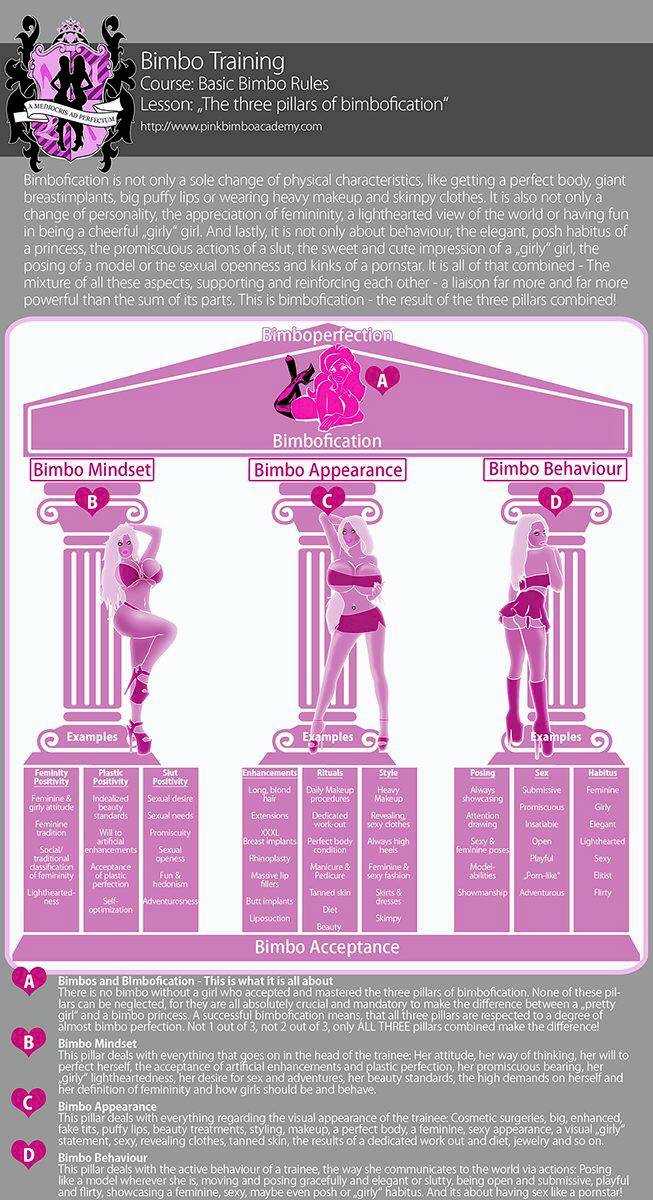 Has anyone looked at the PinkBimboAcademy? Can you recommend any Bimbo training? | Scrolller