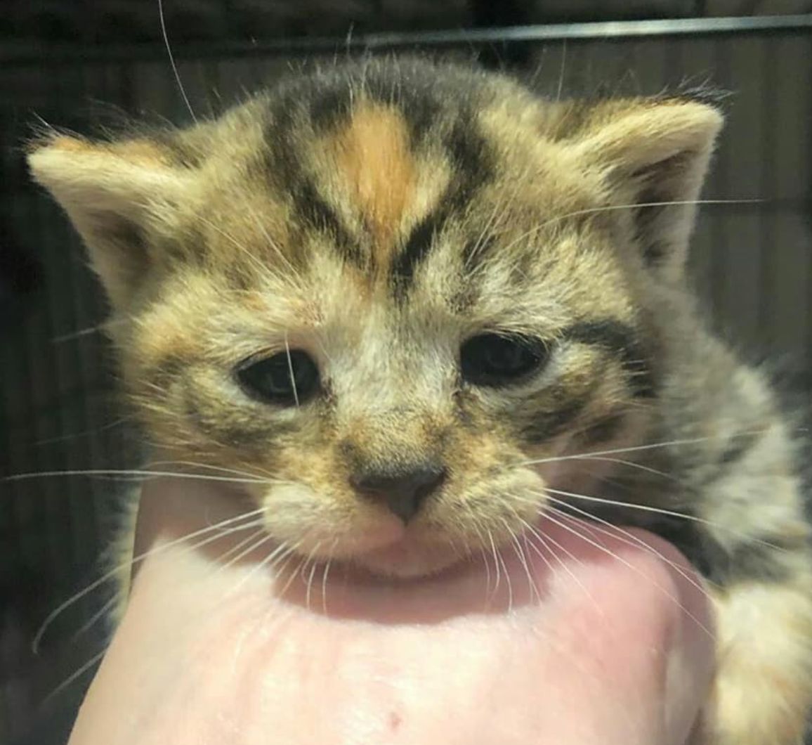 Have you ever seen such magnificent peanuts?! | Scrolller