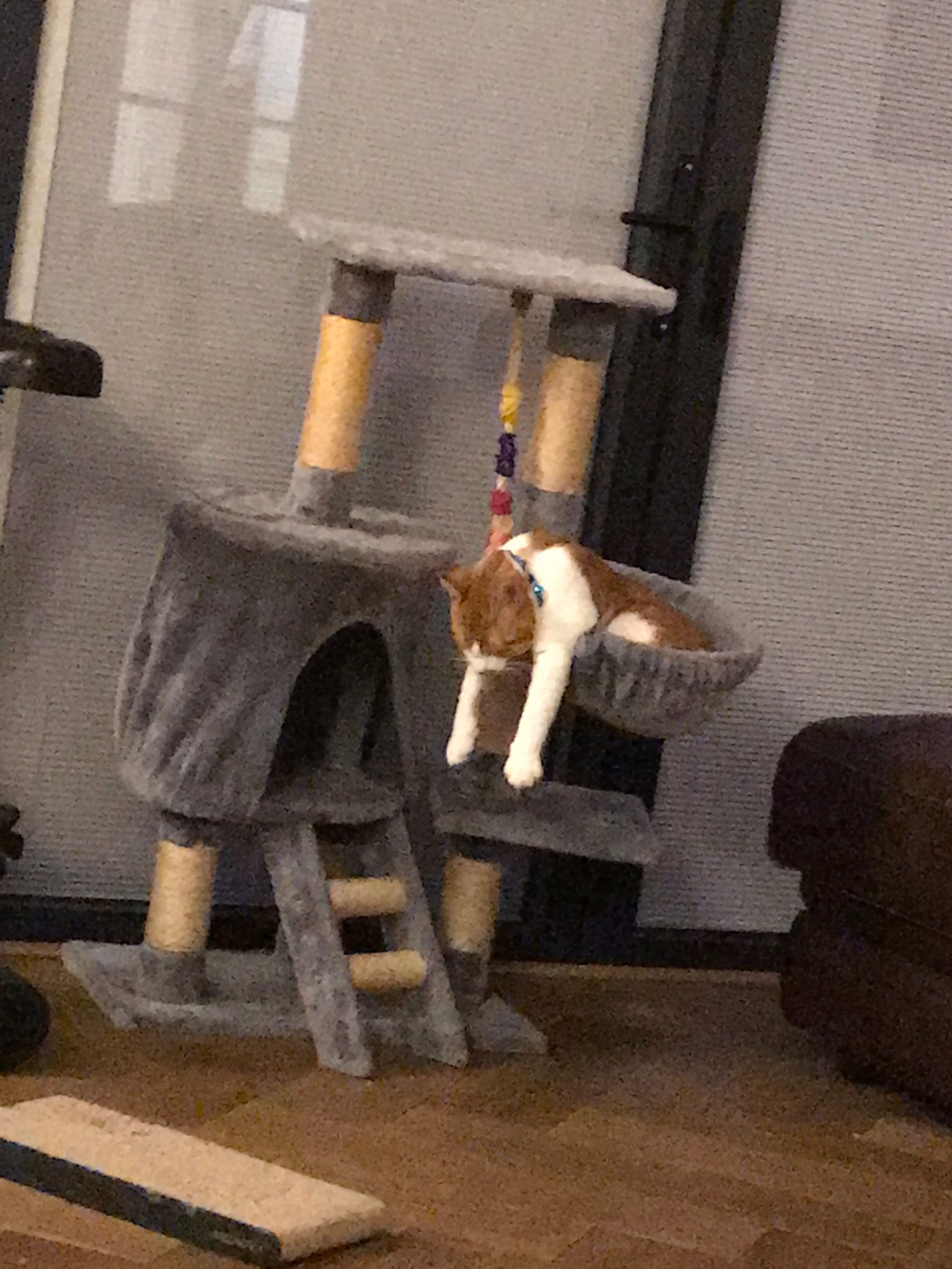 He always does this | Scrolller