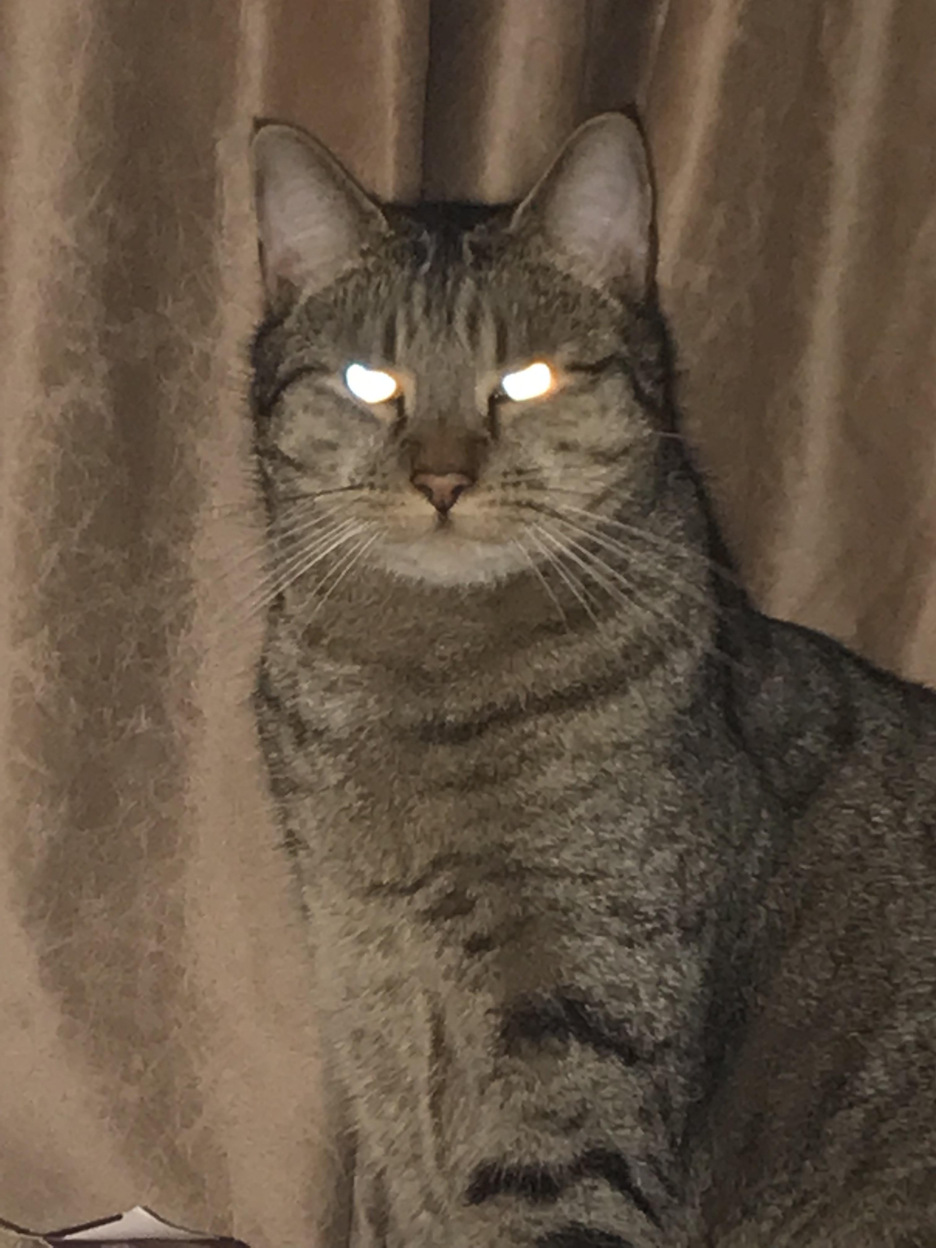 He just looks so angry | Scrolller