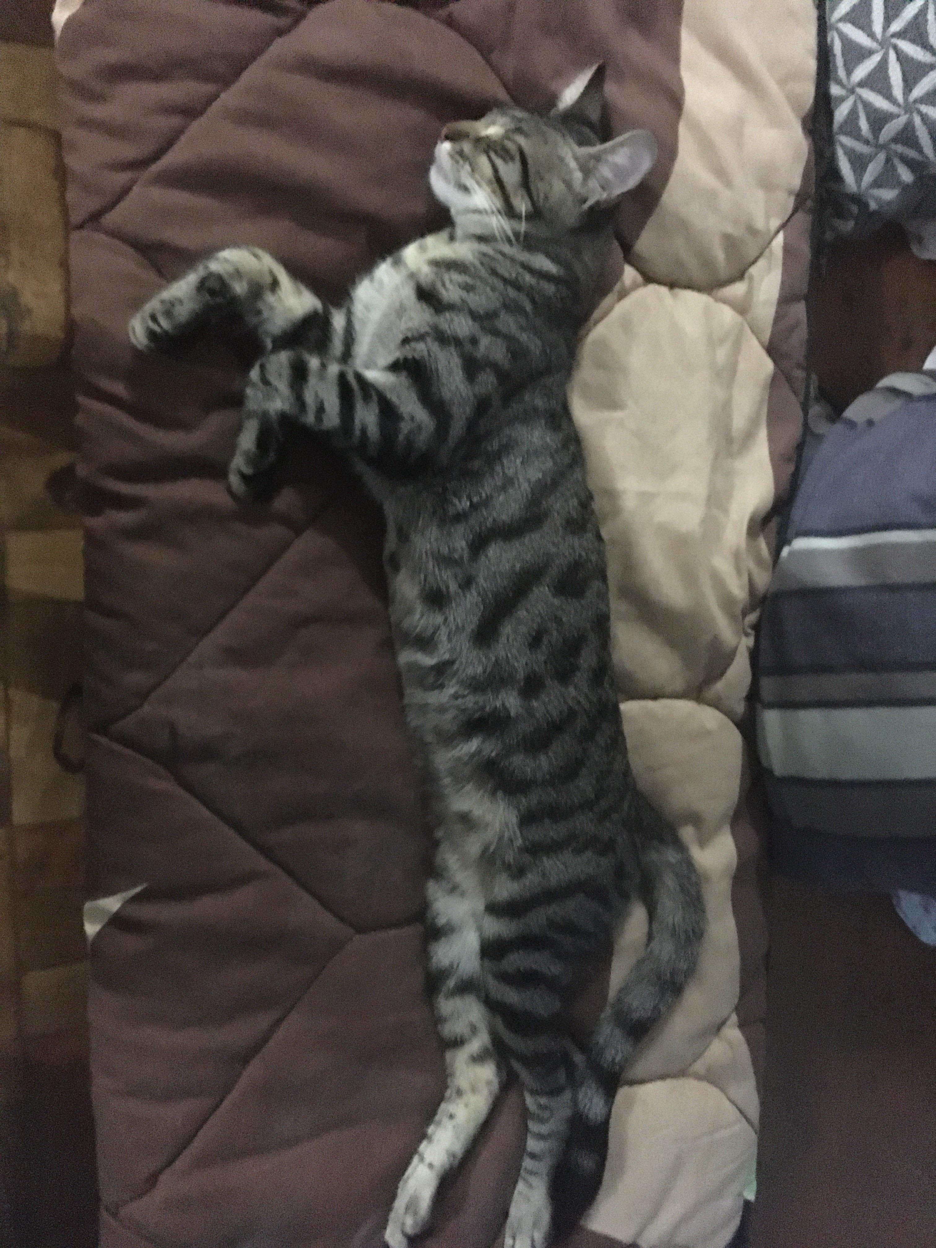 HE LONG!!! | Scrolller