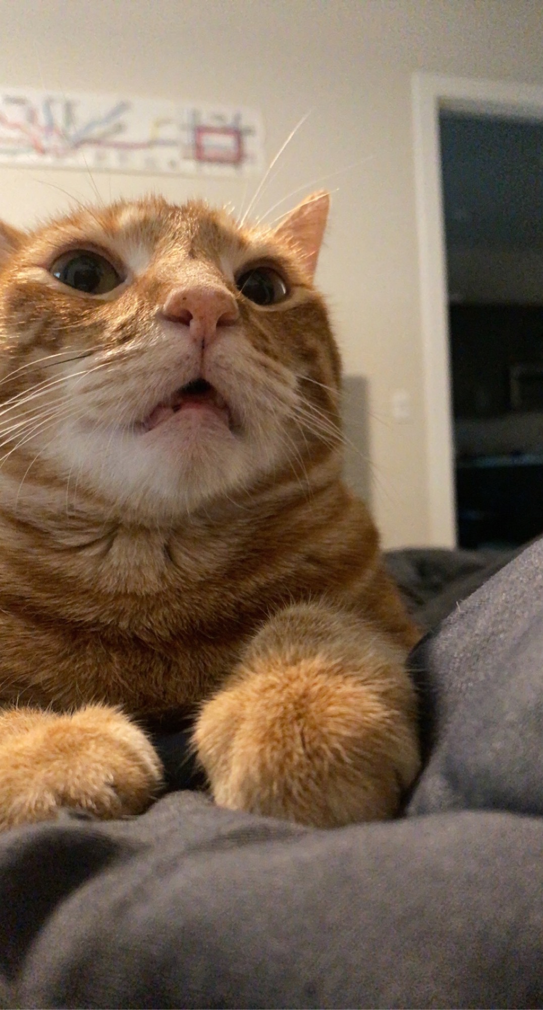 He’s buffering | Scrolller