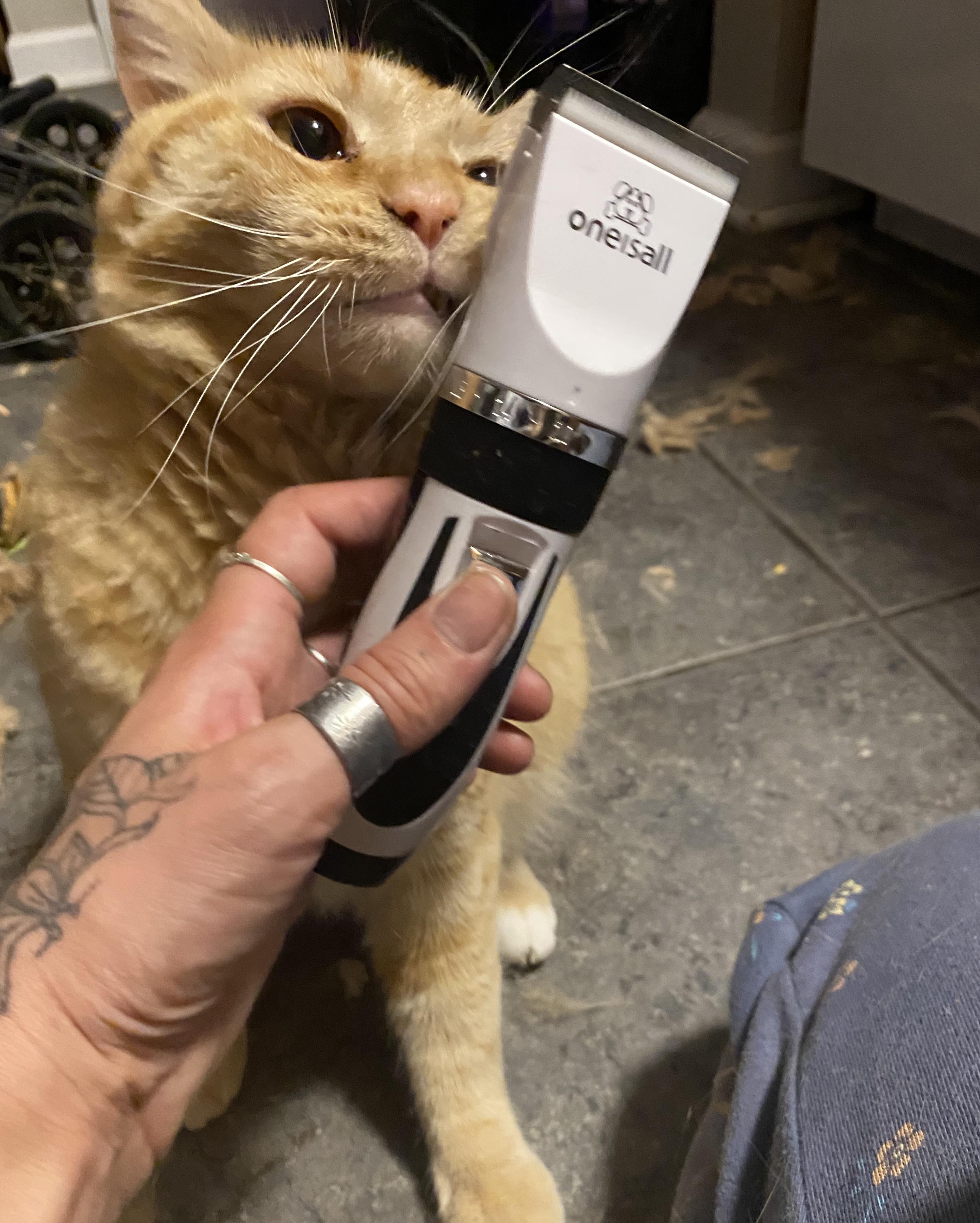 he’s not even the one who needed to be shaved, but he’s obsessed with the vibrator | Scrolller