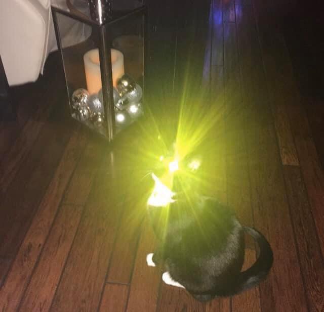 Headlight: on | Scrolller