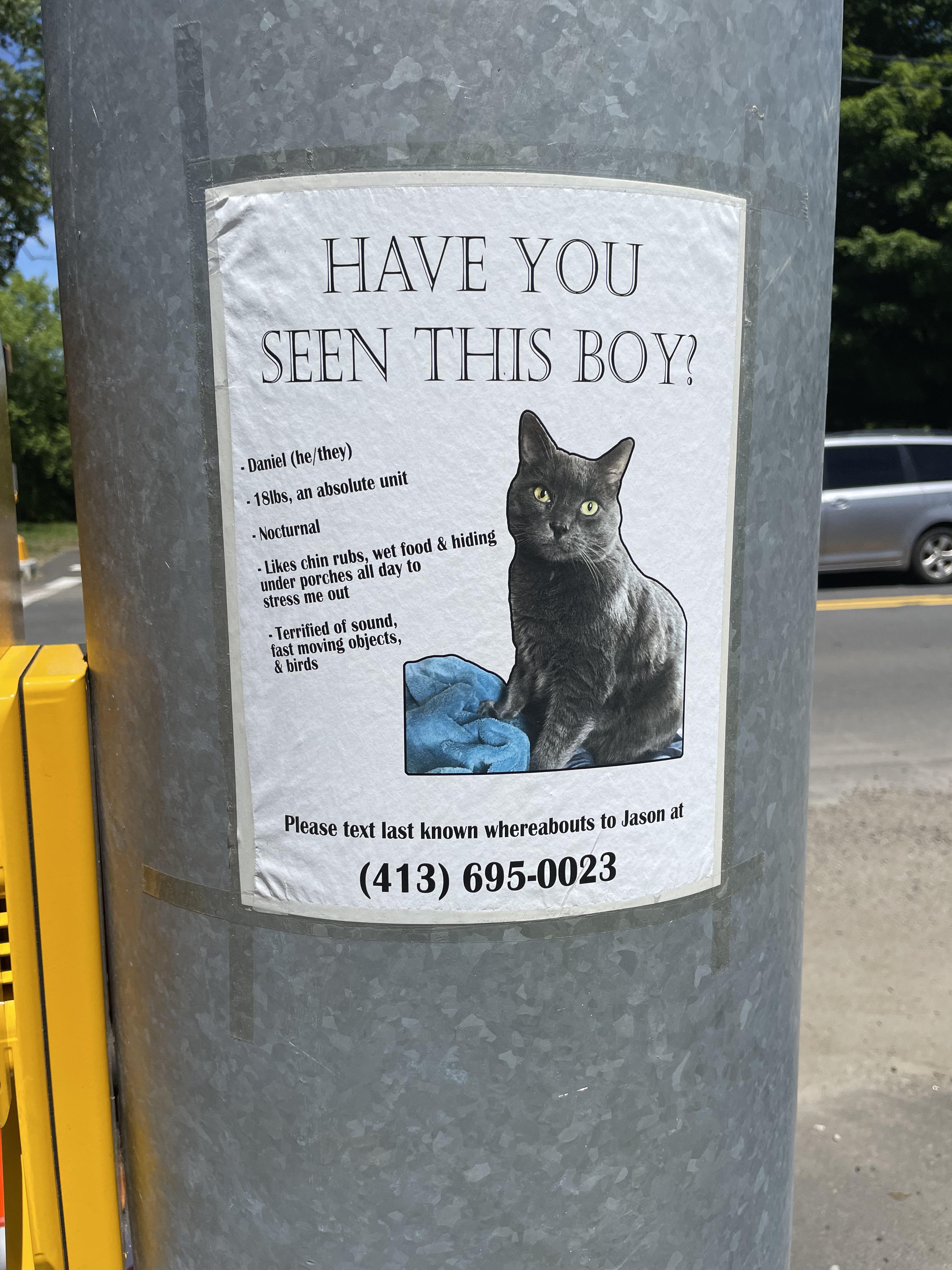 Help Find Daniel | Scrolller