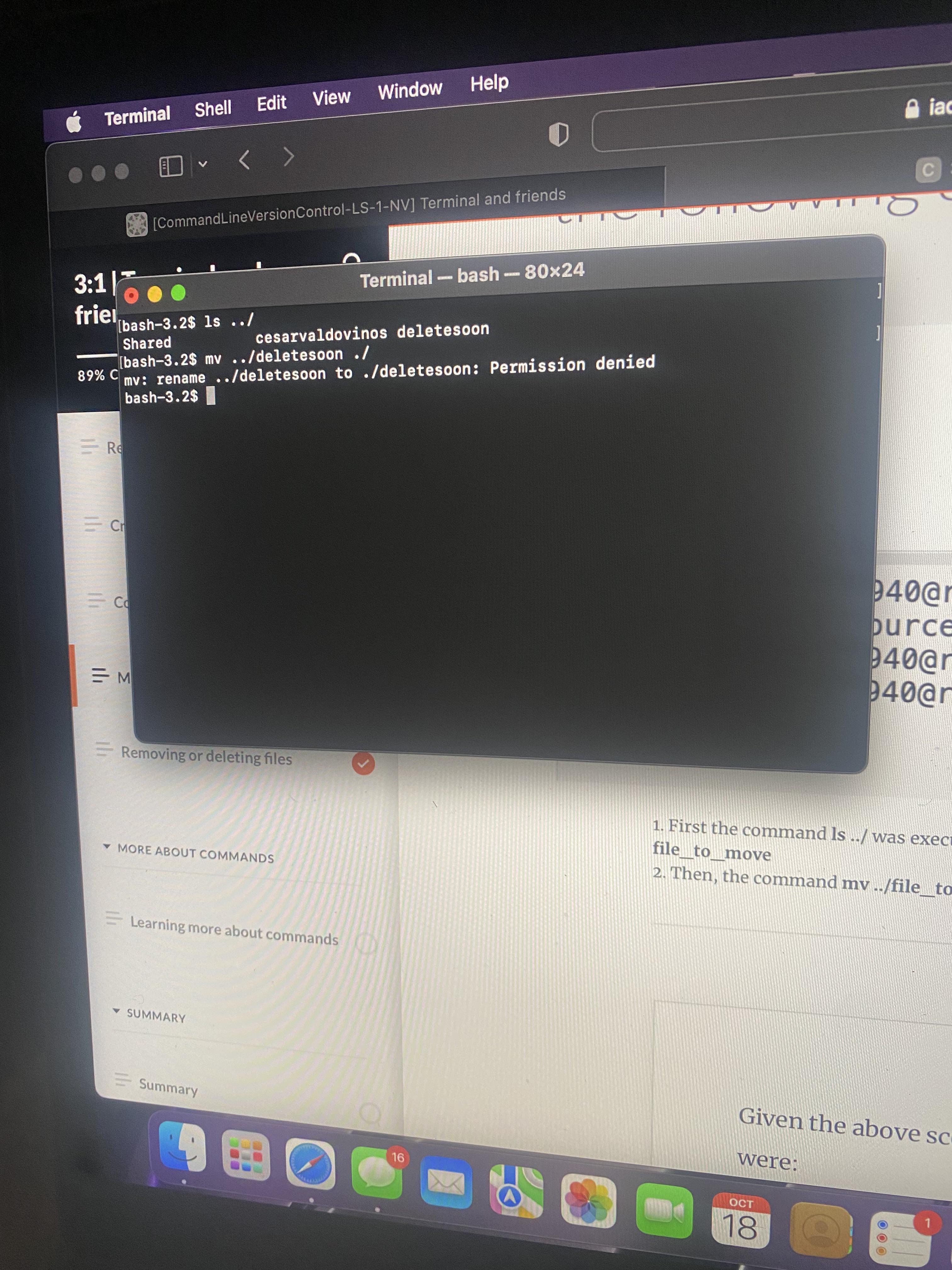Terminal | Pictures | Scrolller