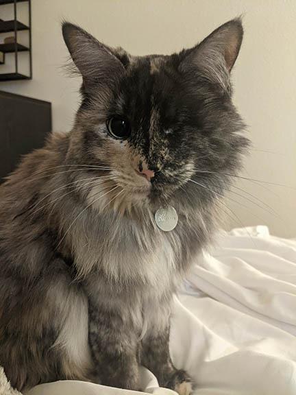 Henri with an eye | Scrolller