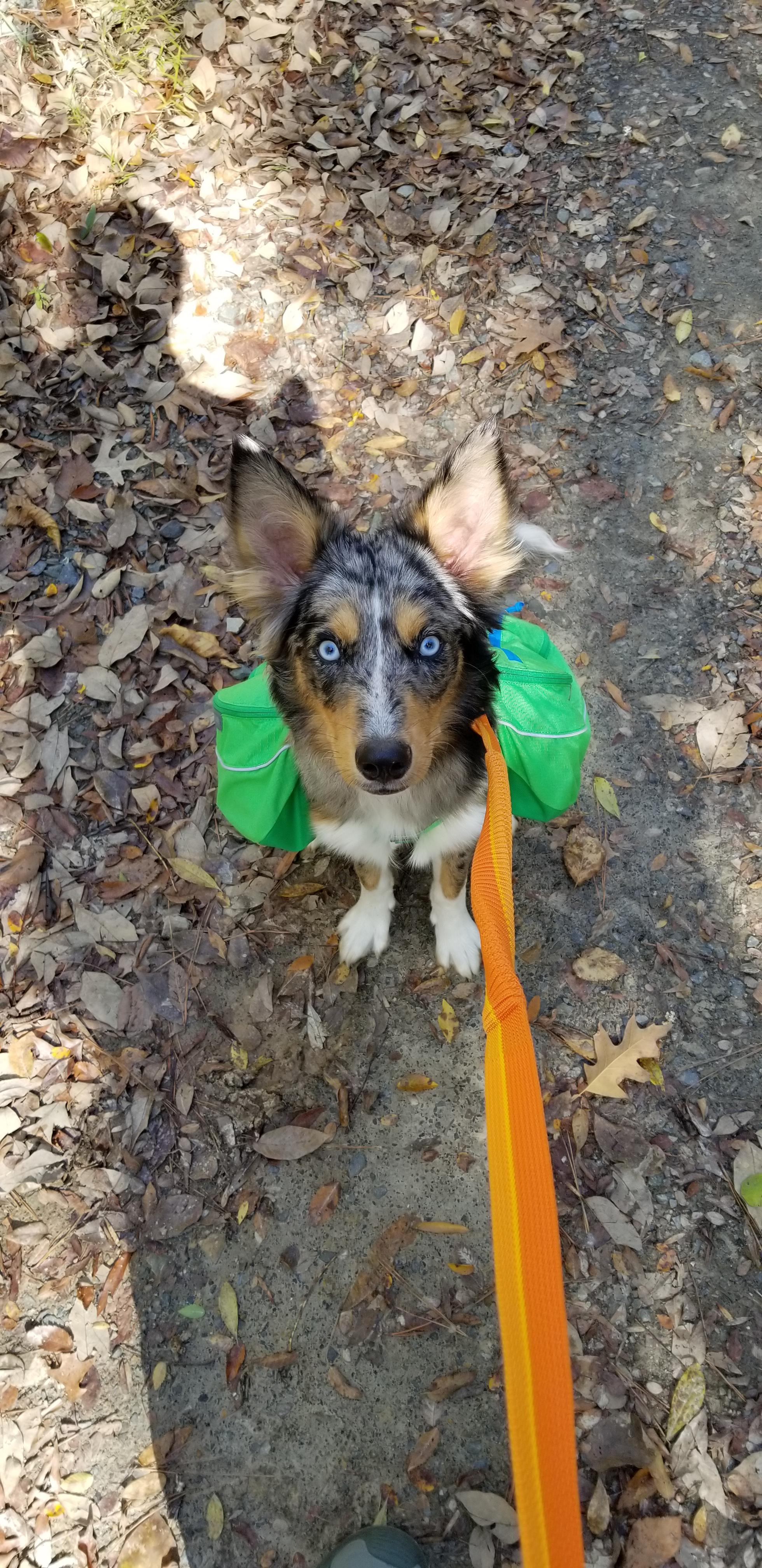 Her first hike! | Scrolller