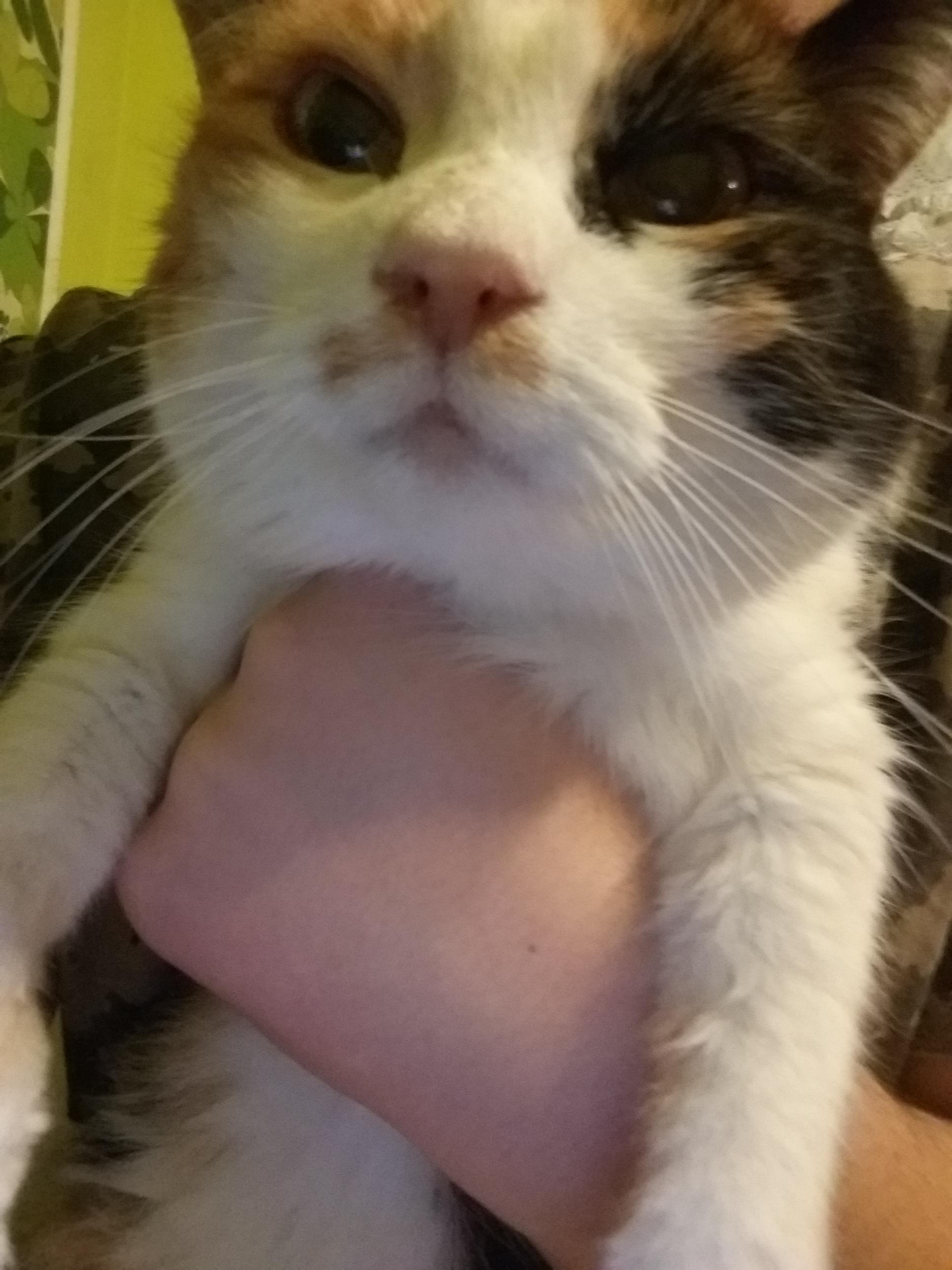 Her Peanuts are beautiful | Scrolller