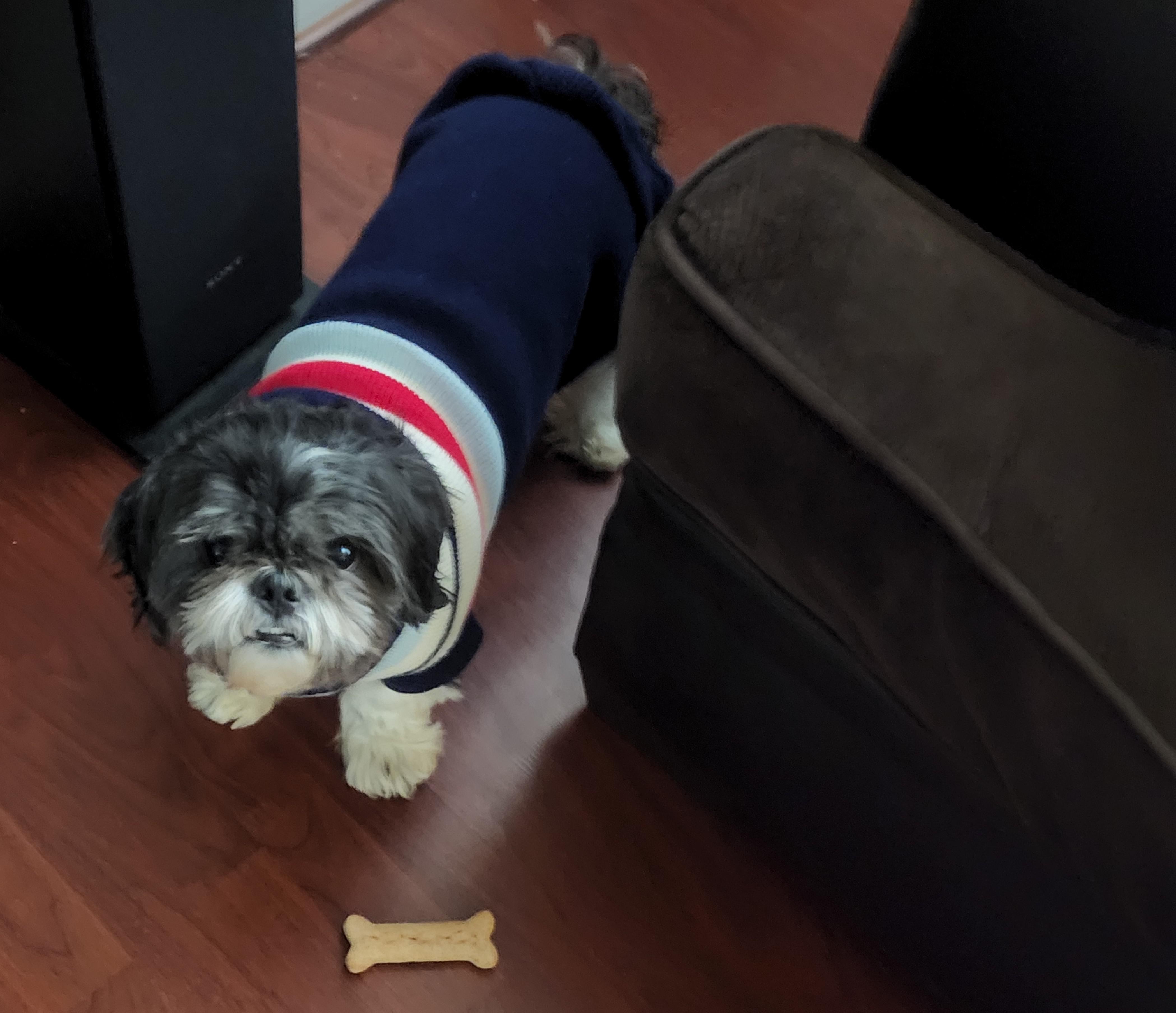 Hes so precious 🥺 | Scrolller