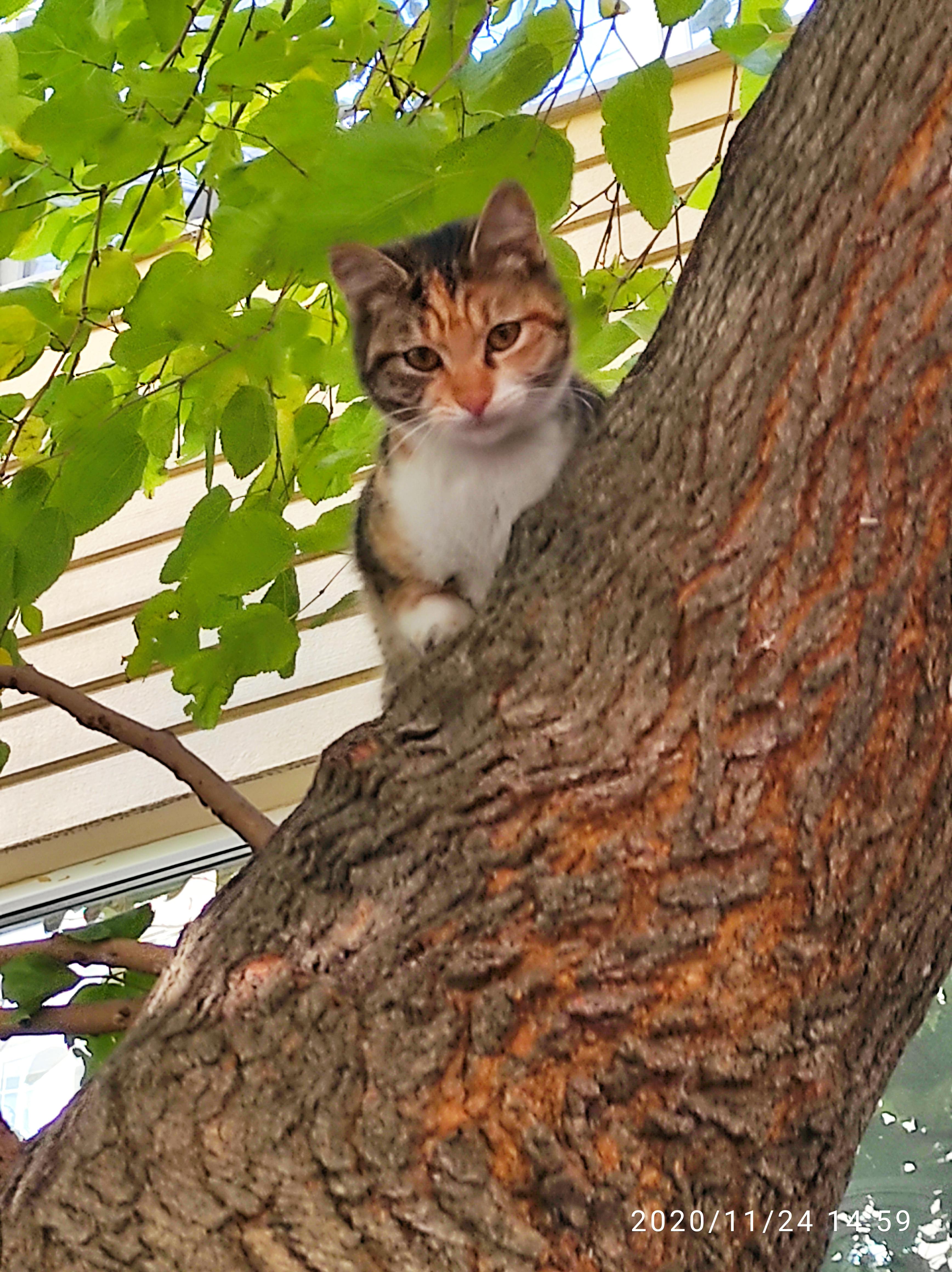 Hi everyone | Scrolller