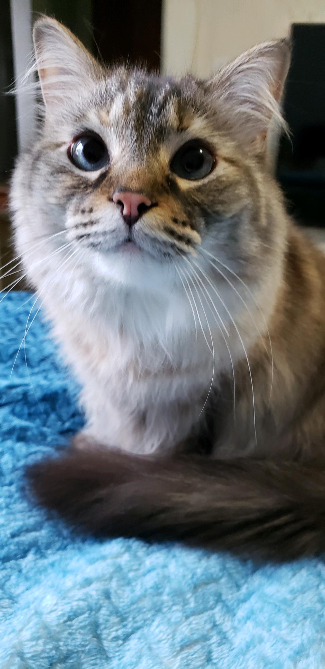 High contrast peanuts | Scrolller