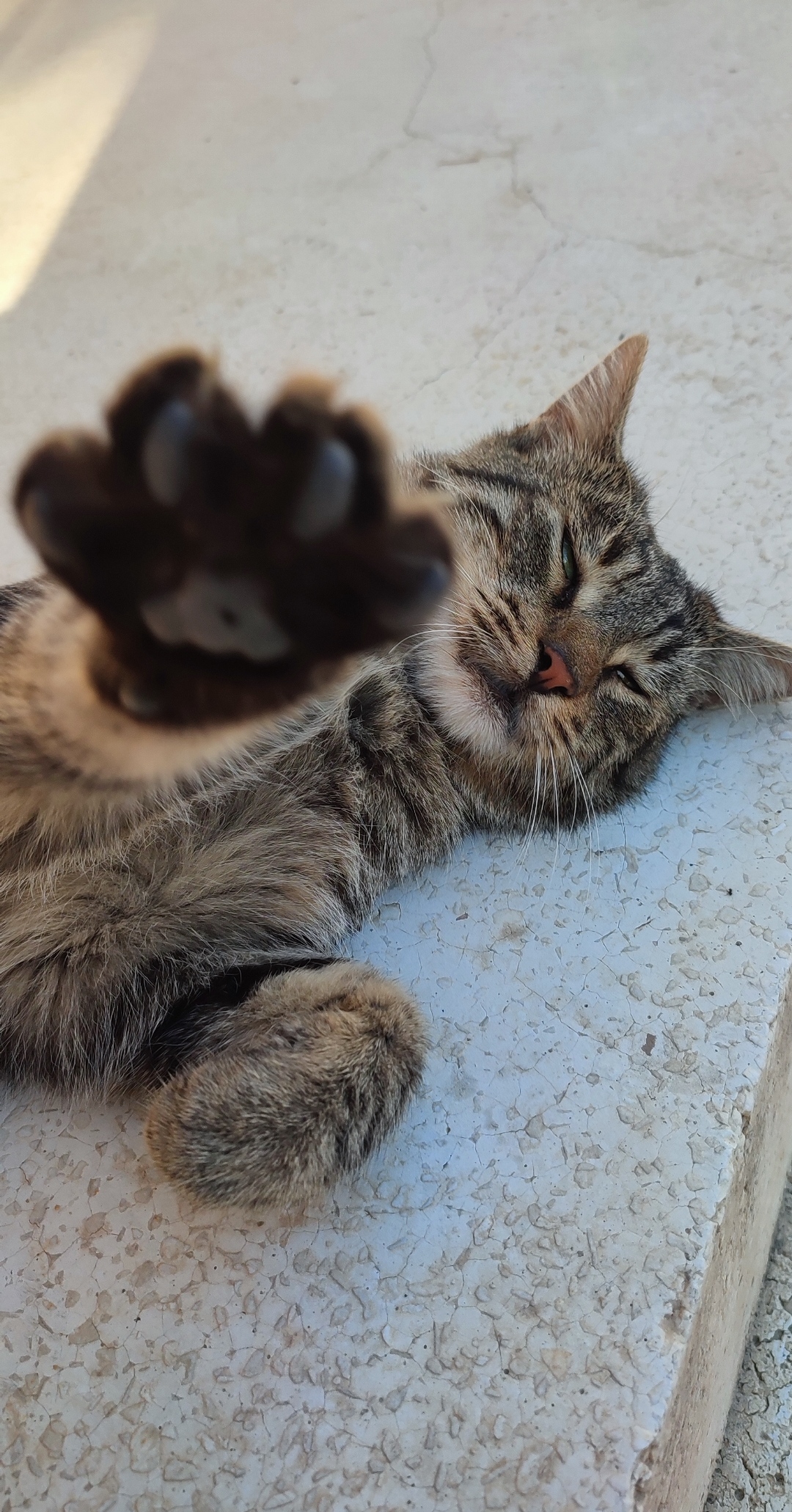 high five! | Scrolller