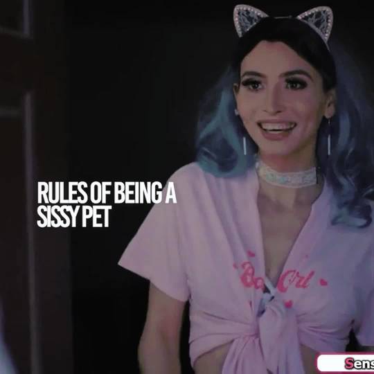 Sissies make the best stay at home pets | Scrolller
