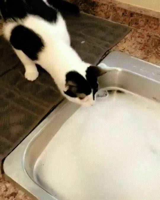 He was so confused | Scrolller