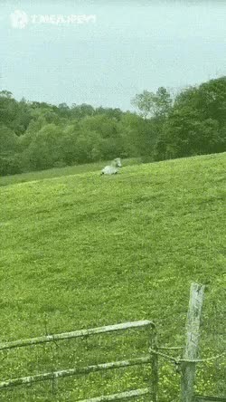 Hitting all my spots with that G-spot vibrator and that BWC for DP/DAP😈 [OC] | Scrolller