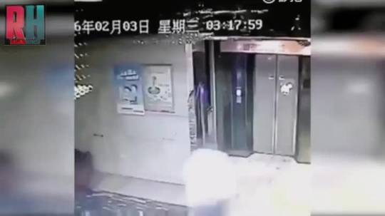 Let's try breaking and entering on an elevator shaft | Scrolller