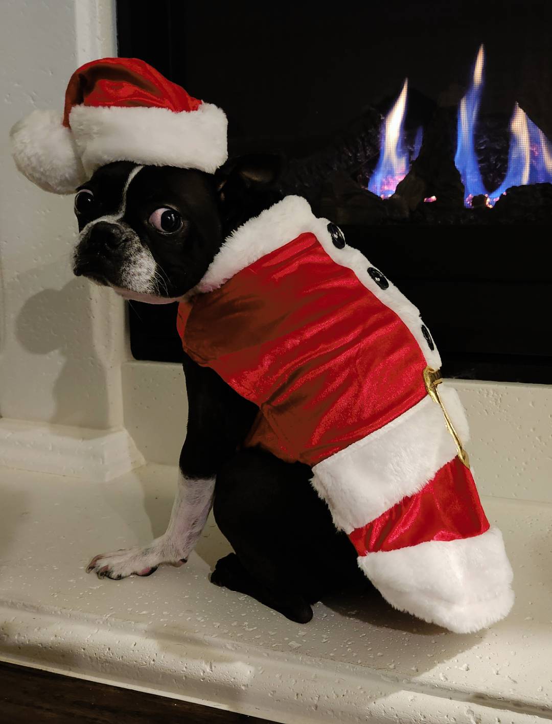 Ho Ho Ho | Scrolller