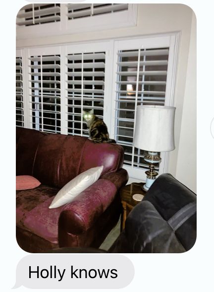 Holly knows | Scrolller