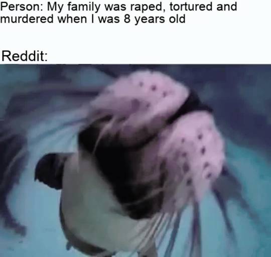 holsum 100 | Scrolller