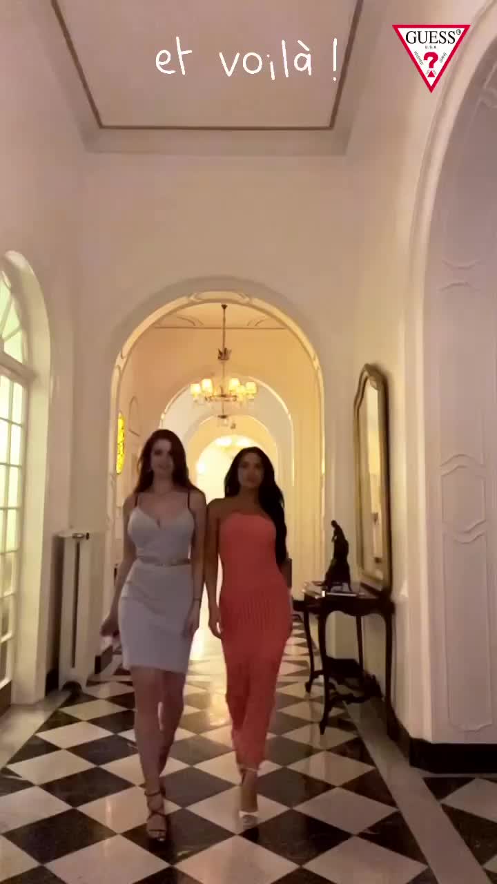 Holy cow | Scrolller