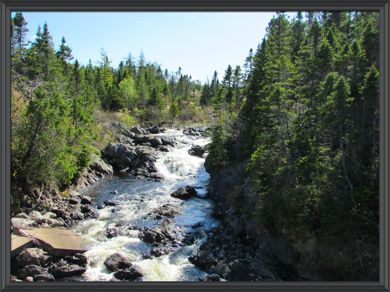 Holyrood, Newfoundland | Scrolller