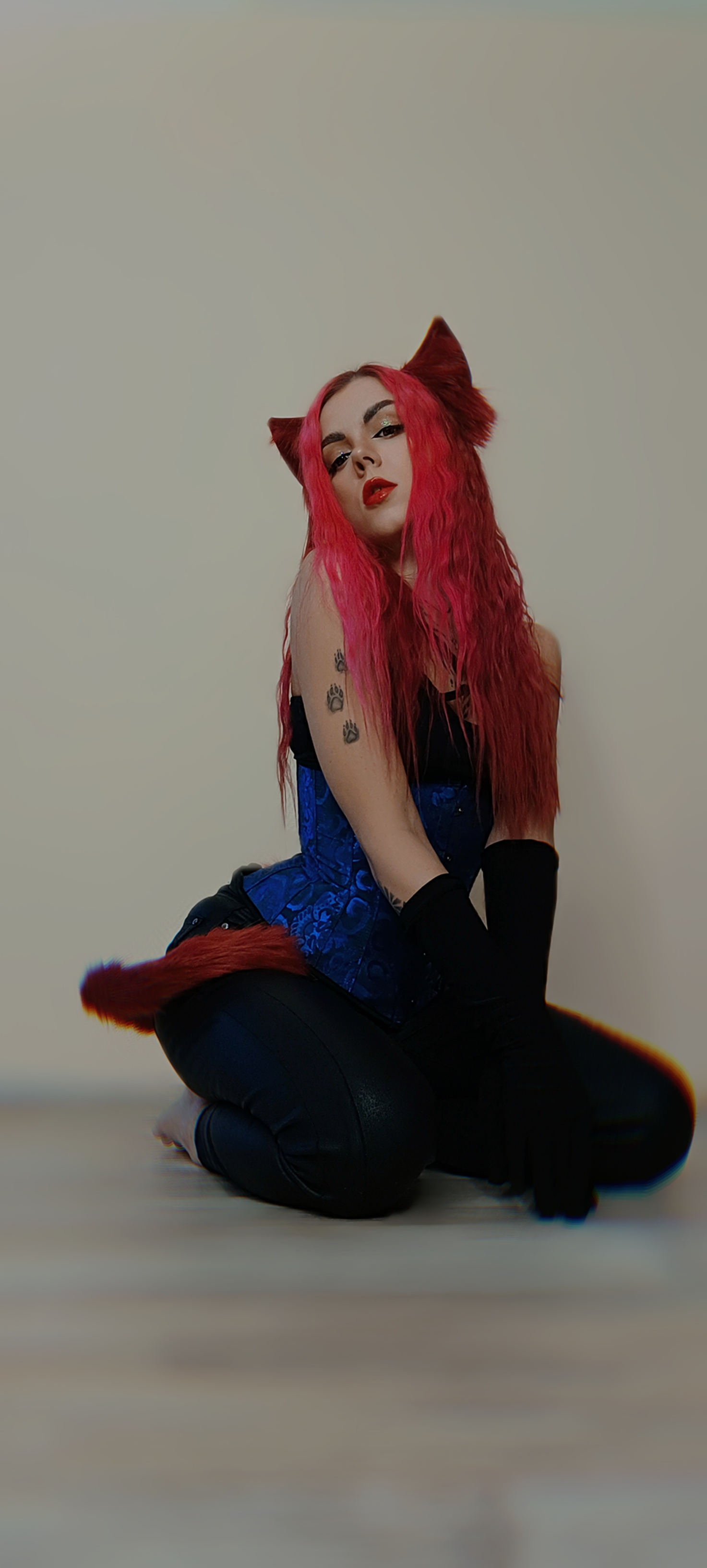 Hope you prefer cats | Scrolller