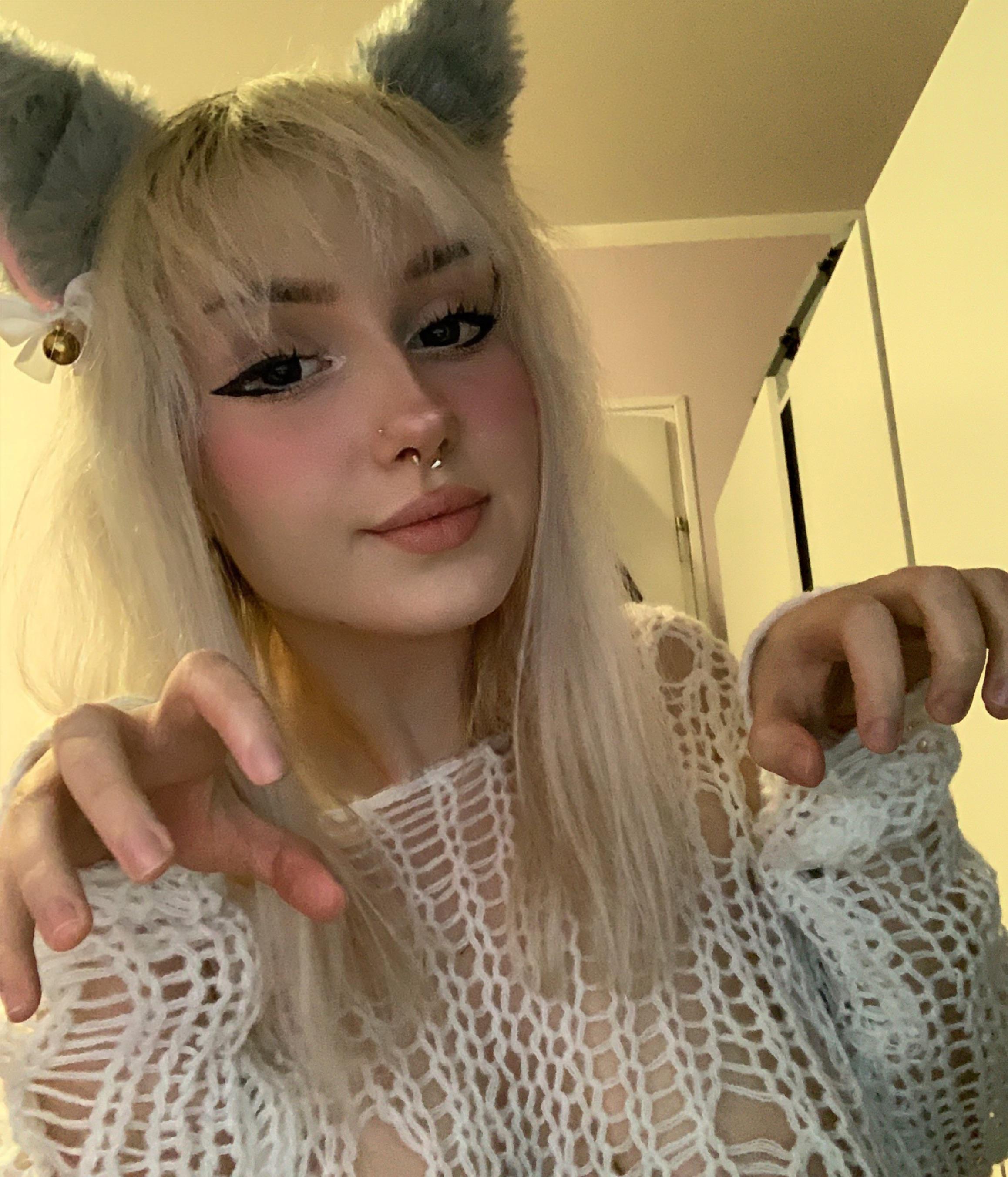 horny kitty is here | Scrolller