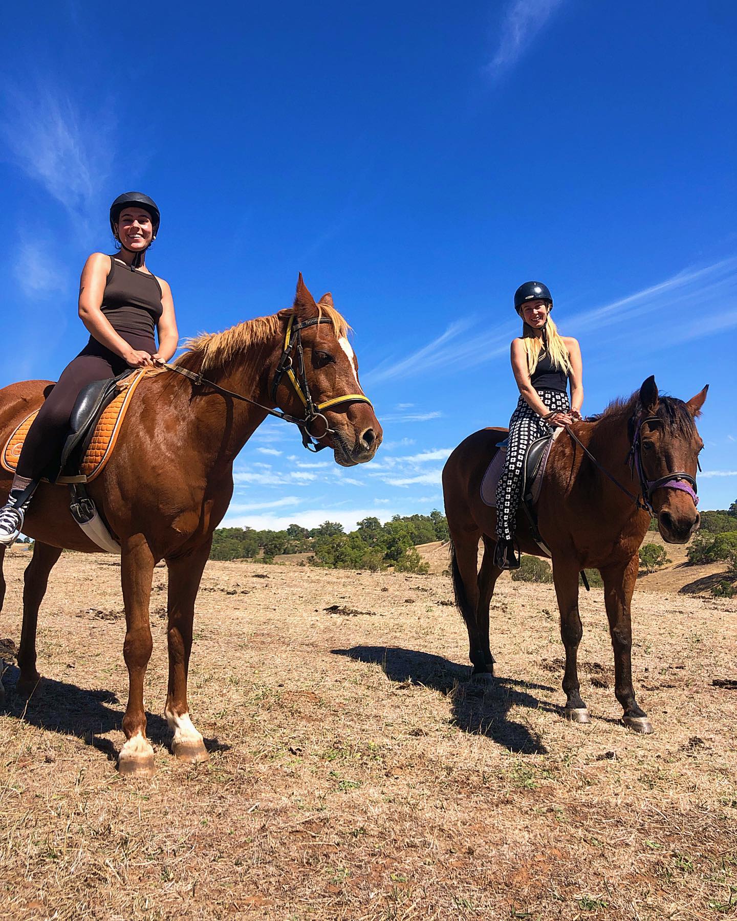 Horseback Riding | Scrolller
