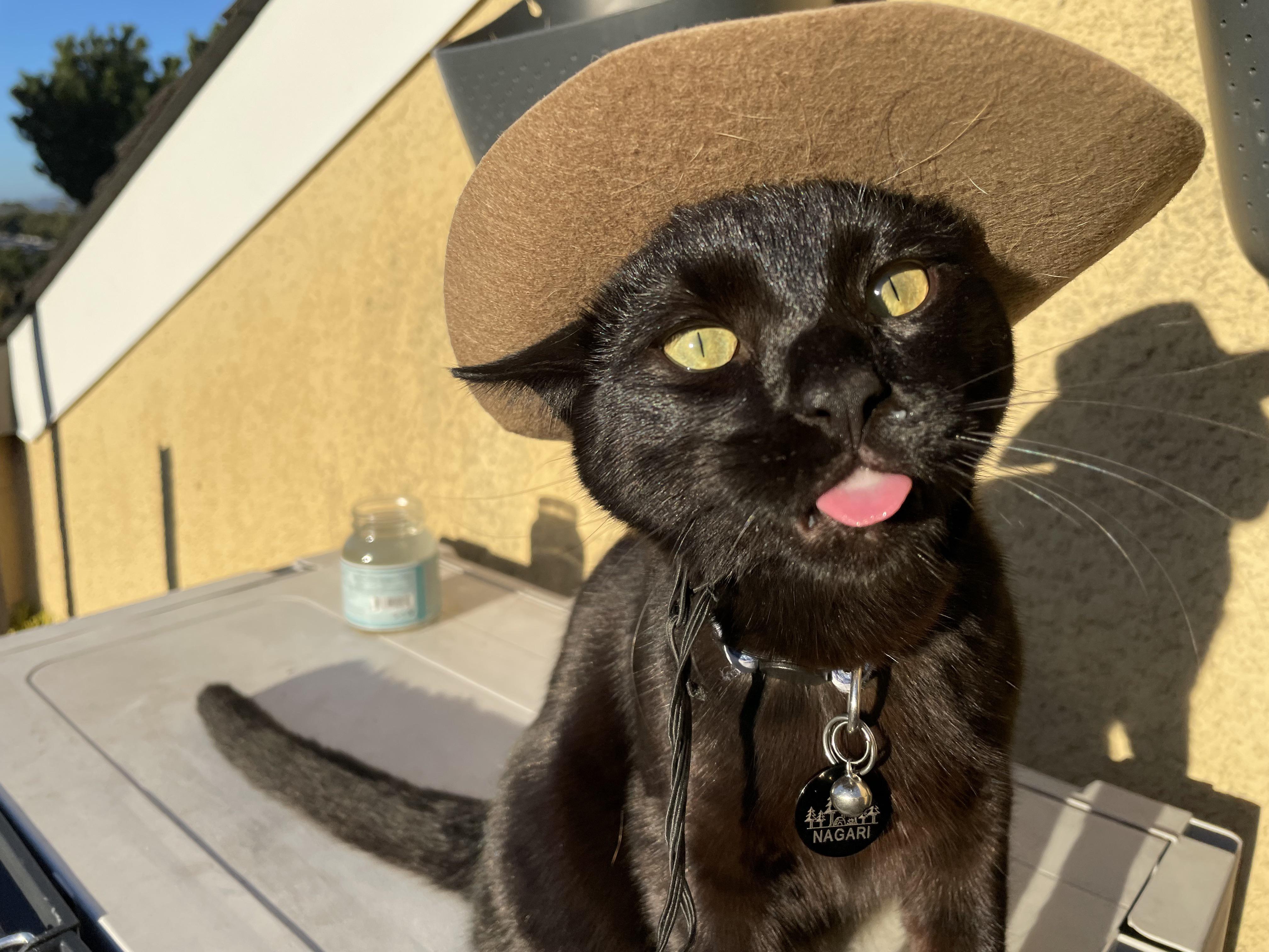 Howdy Scrolller