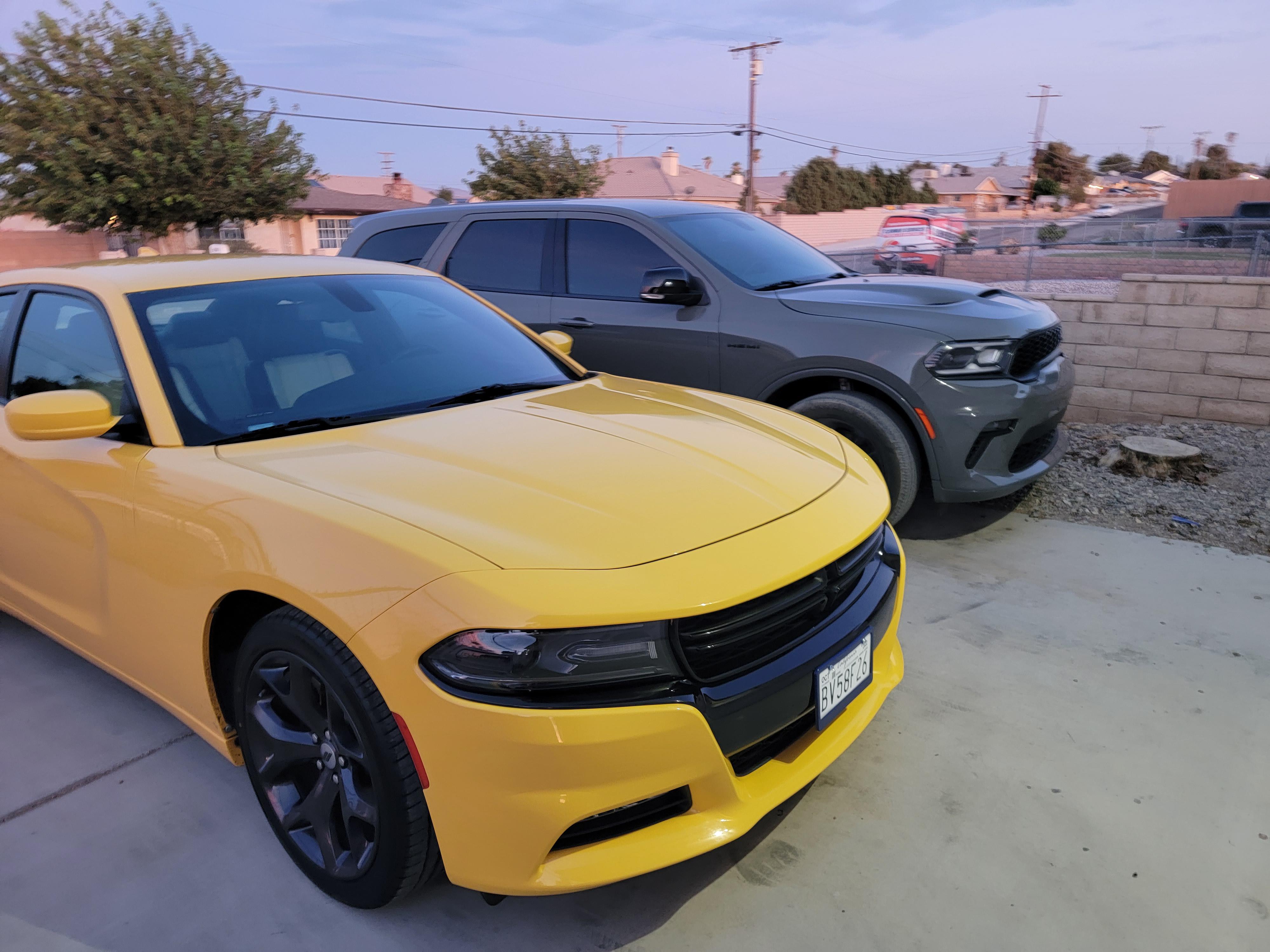 I brought home a little brother for my Durango | Scrolller