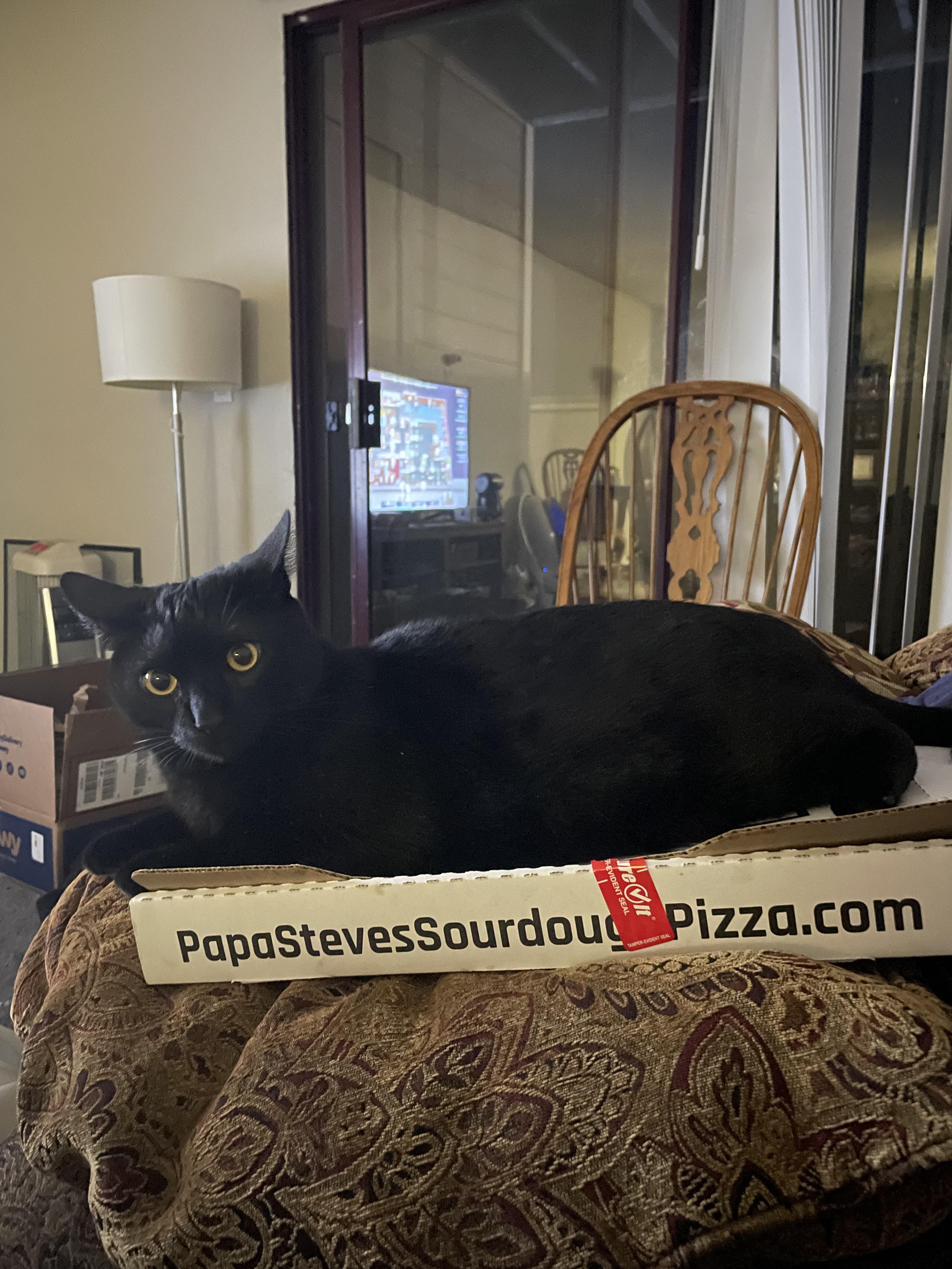 I guess dinner is over | Scrolller