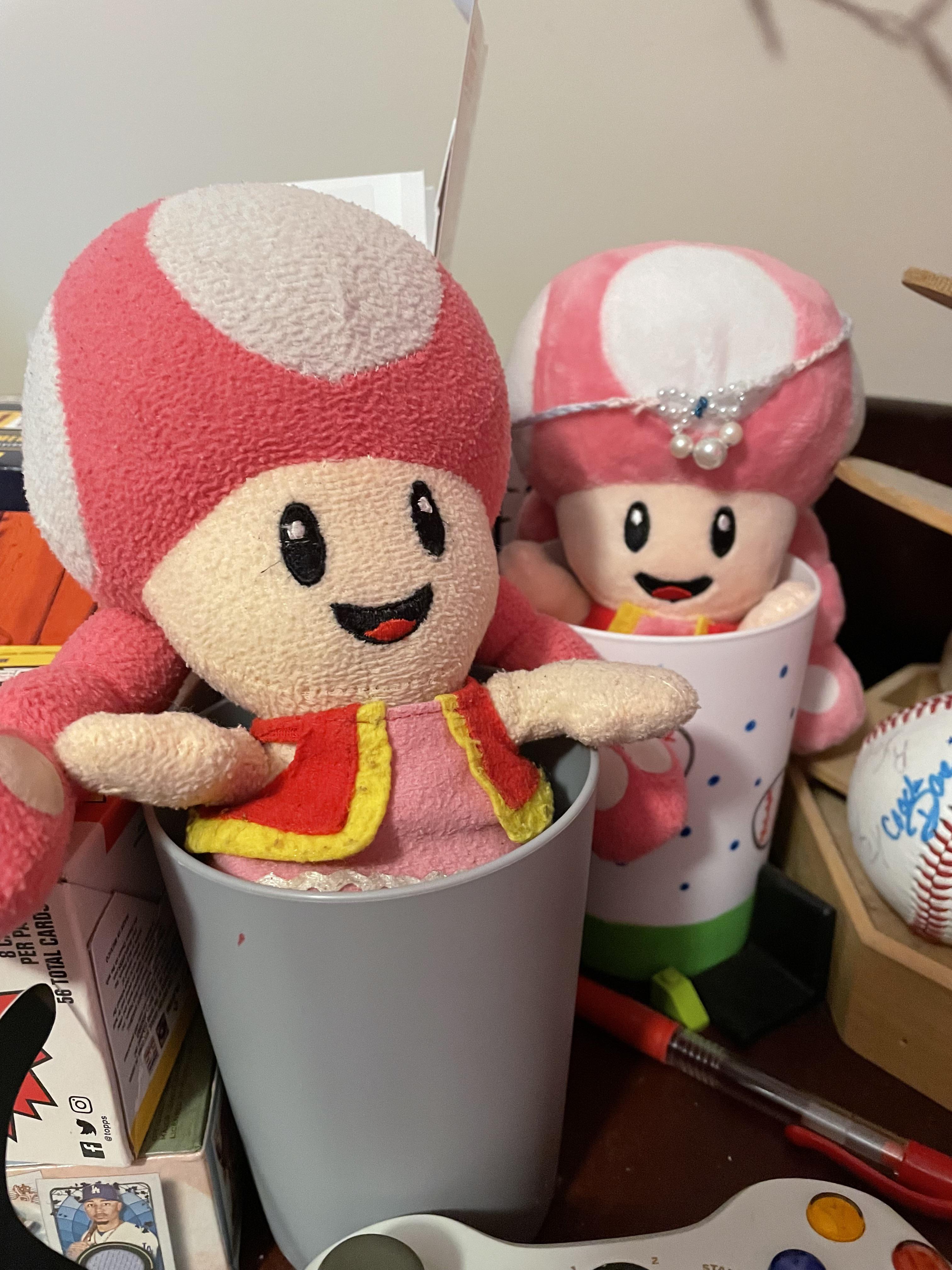 I Like To Keep My Toadette Plushes In Cups Scrolller