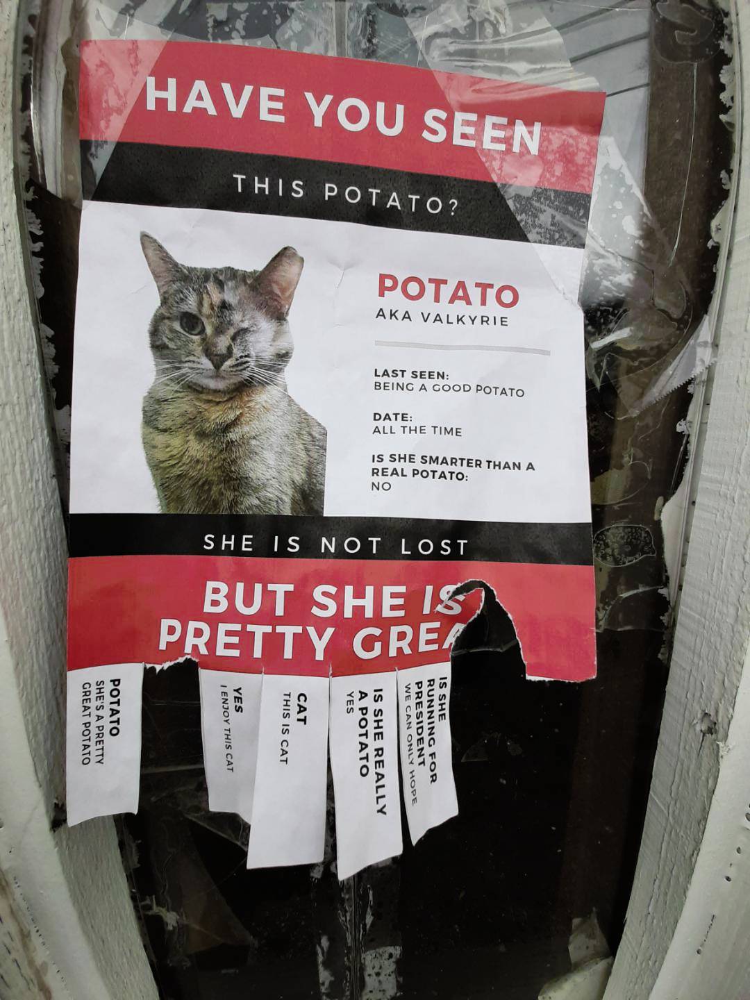 I made a flyer in my neighborhood about my potato | Scrolller