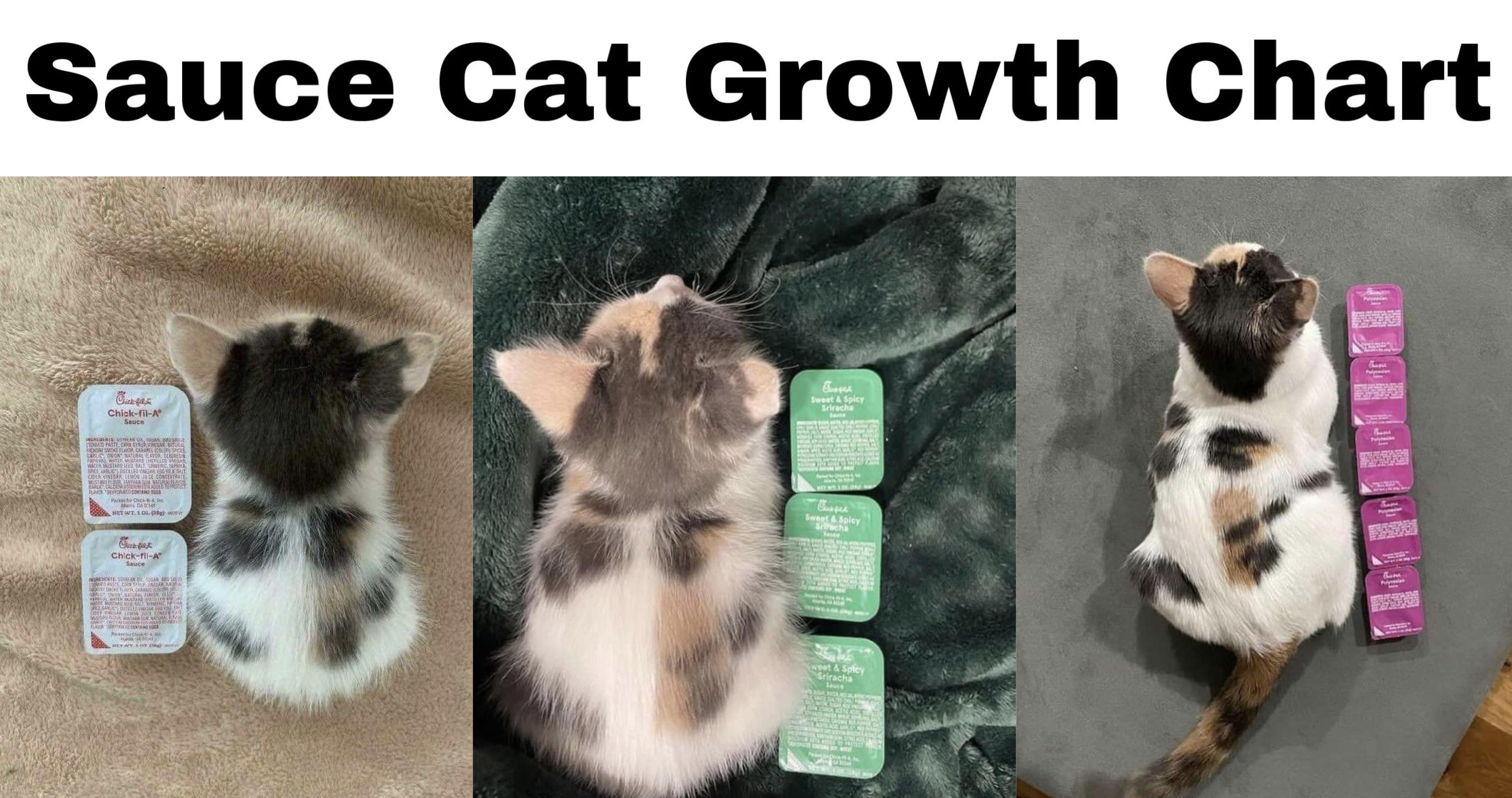 I miss the occasional funny posts | Scrolller