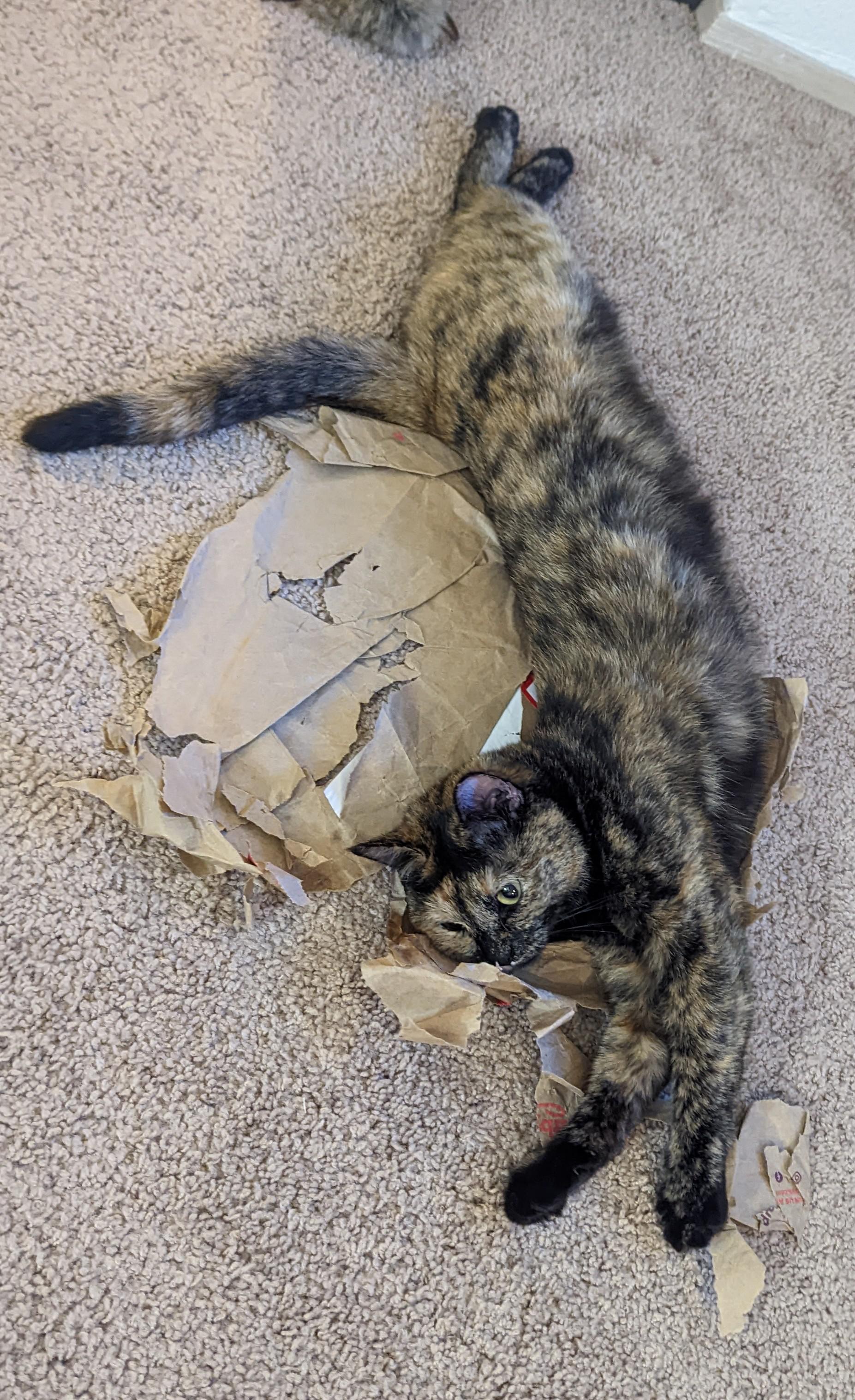 I missed maximum extension by a half second, but here she is at 90% power | Scrolller