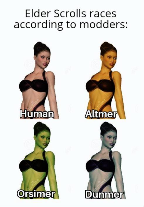 I Saw this on r/skyrimmemes and I think it can be applied here too lol. By: u/queen-of-worms ...