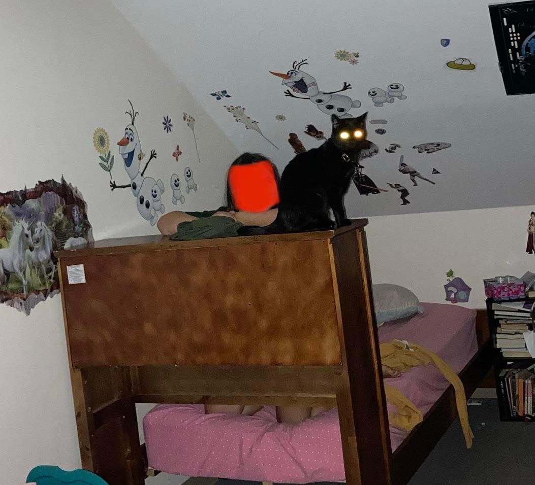 I think she and my sister are plotting my death | Scrolller