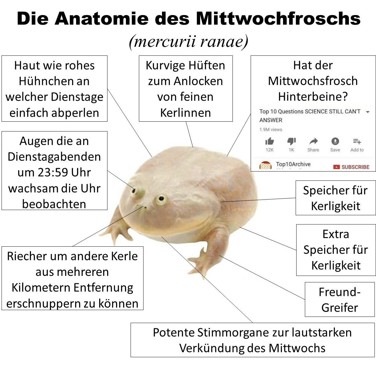 ich🐸iel | Scrolller