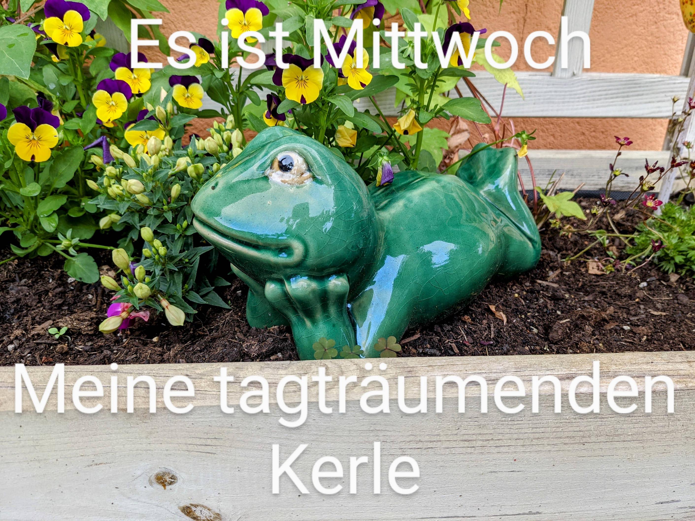 ich🌅🐸iel | Scrolller