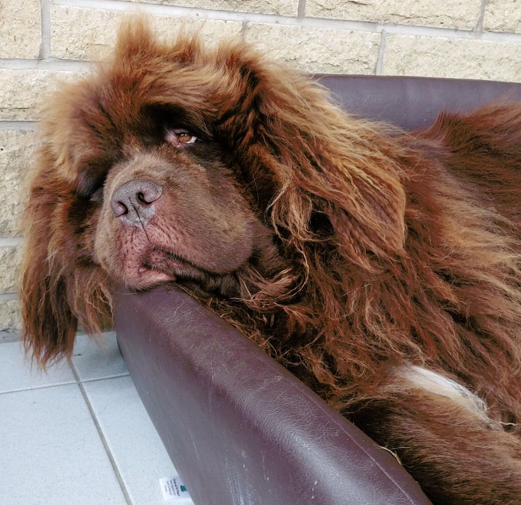 I'm so tired 😩😁😁 | Scrolller