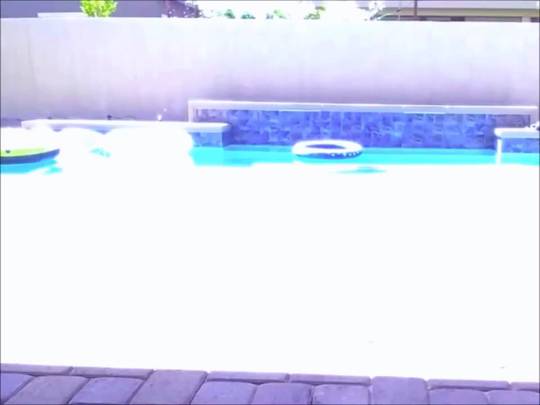 in the pool | Scrolller