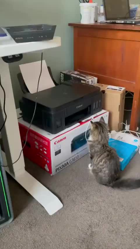 Incoming message. | Scrolller