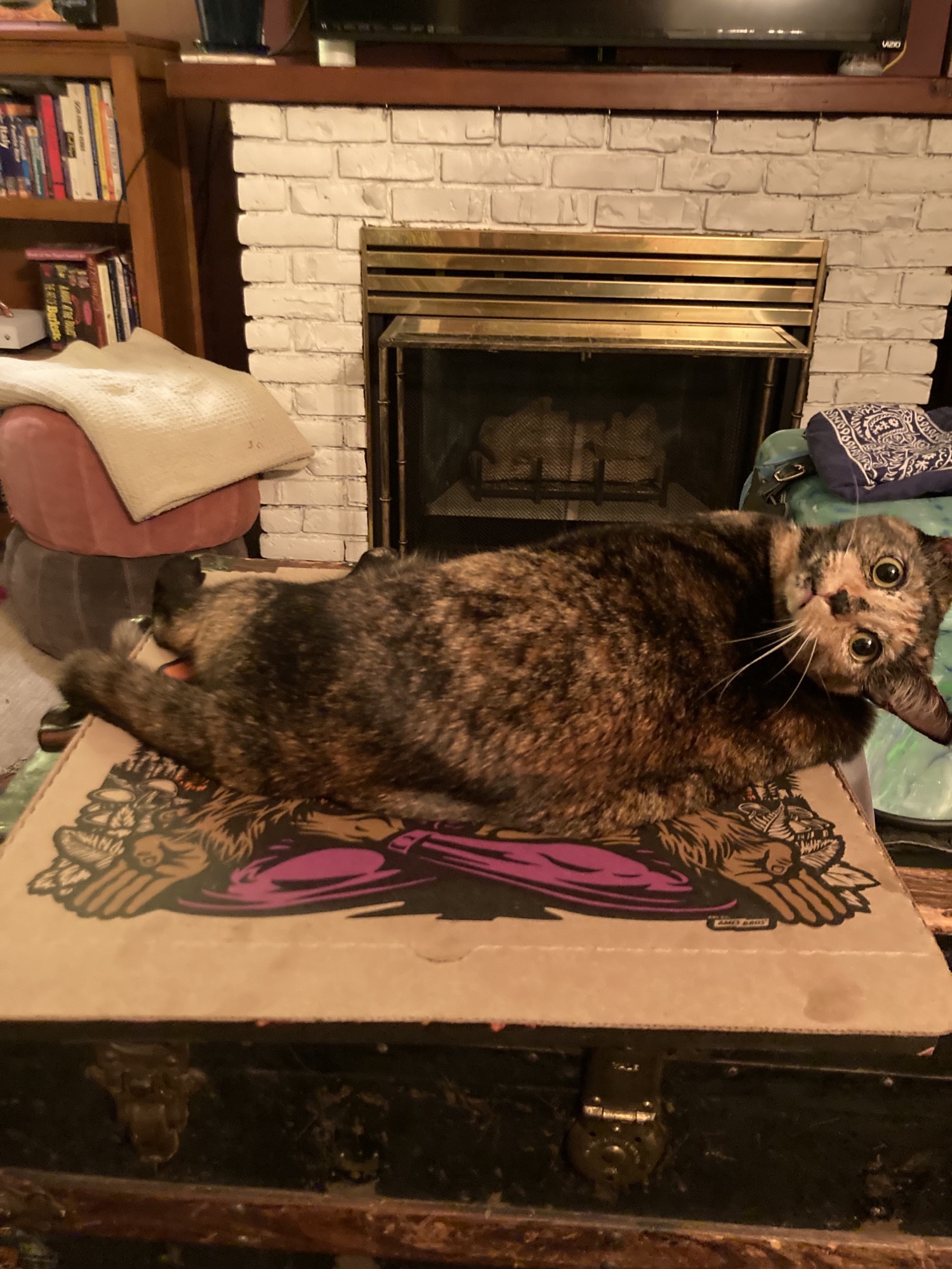 inconvenient :3 | Scrolller