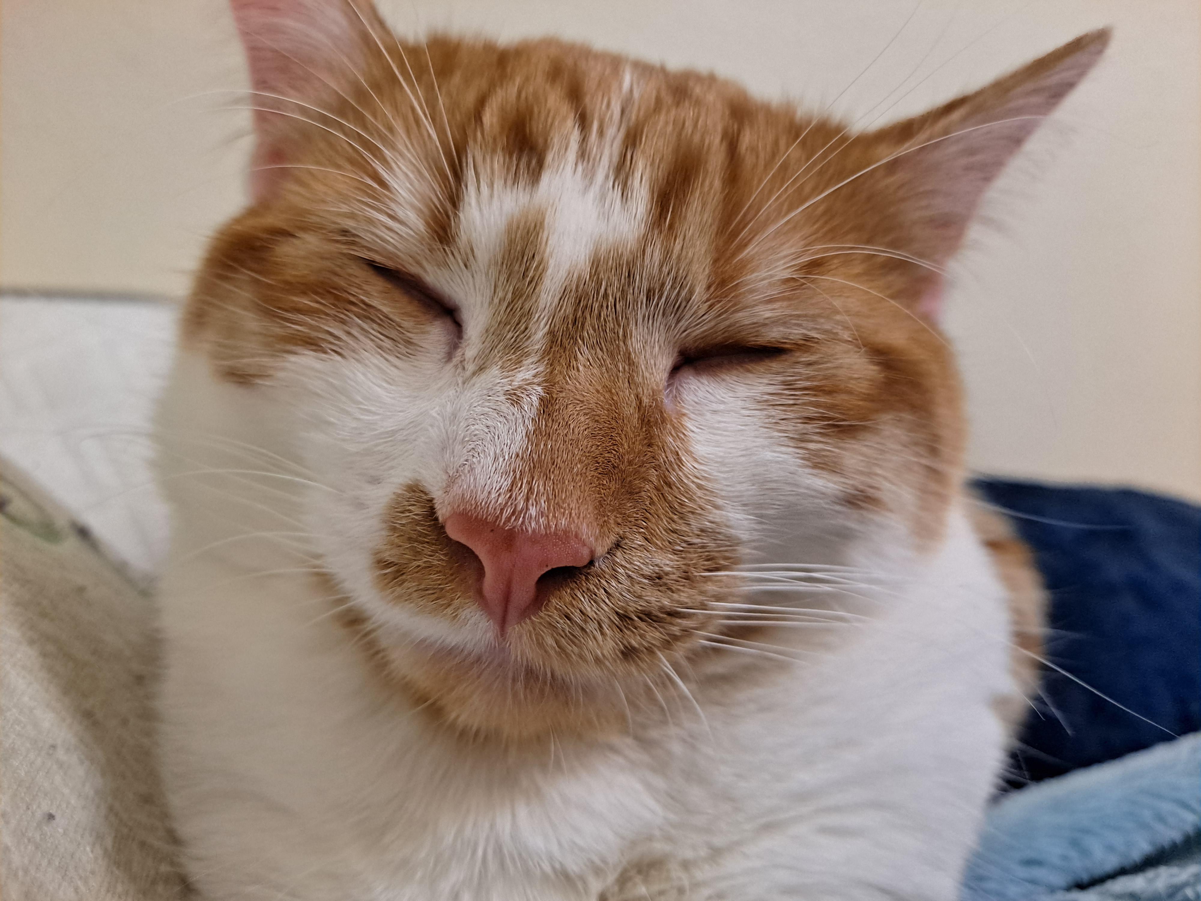 Infinite knowledge | Scrolller