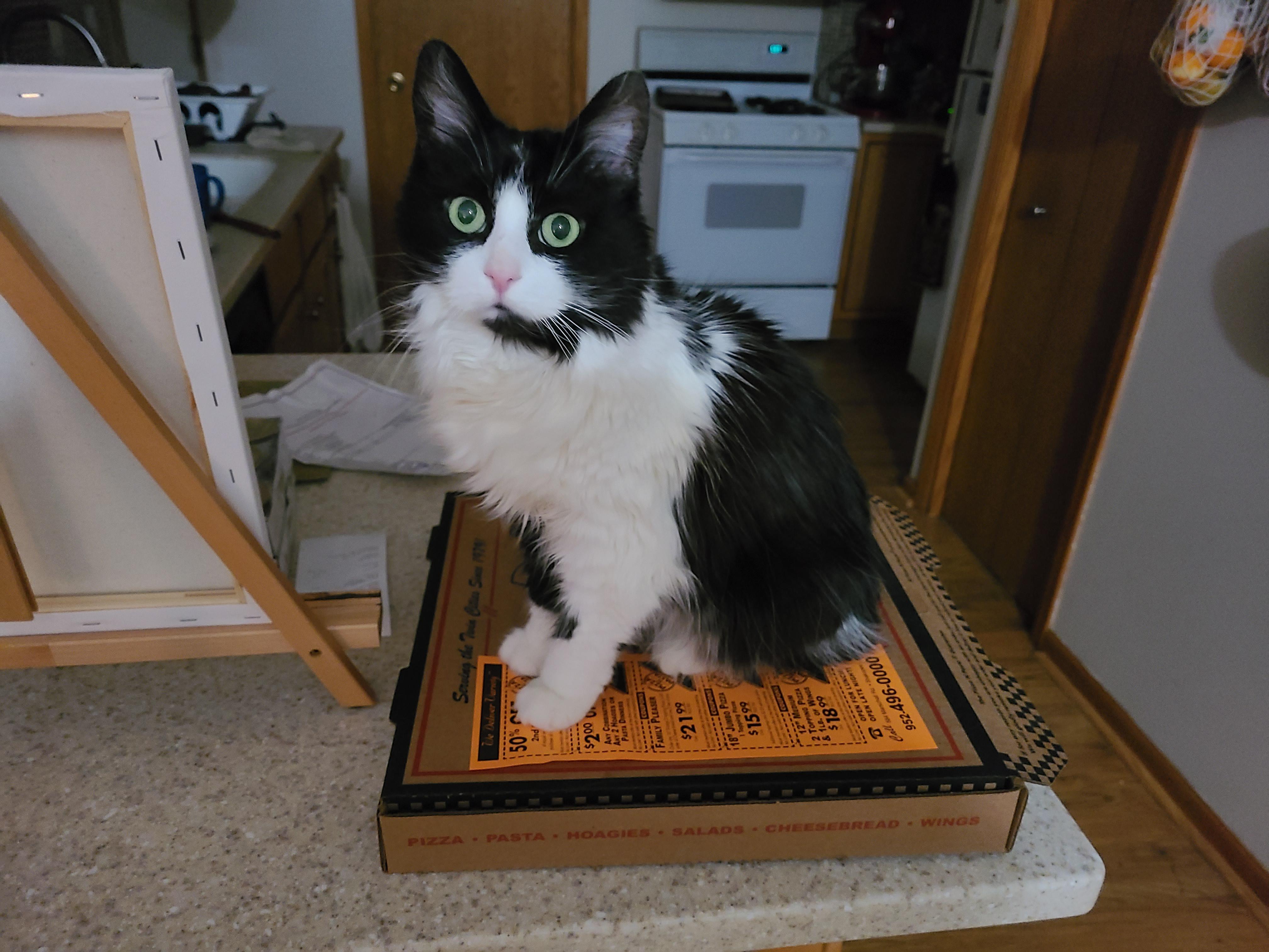 It finally happened! | Scrolller