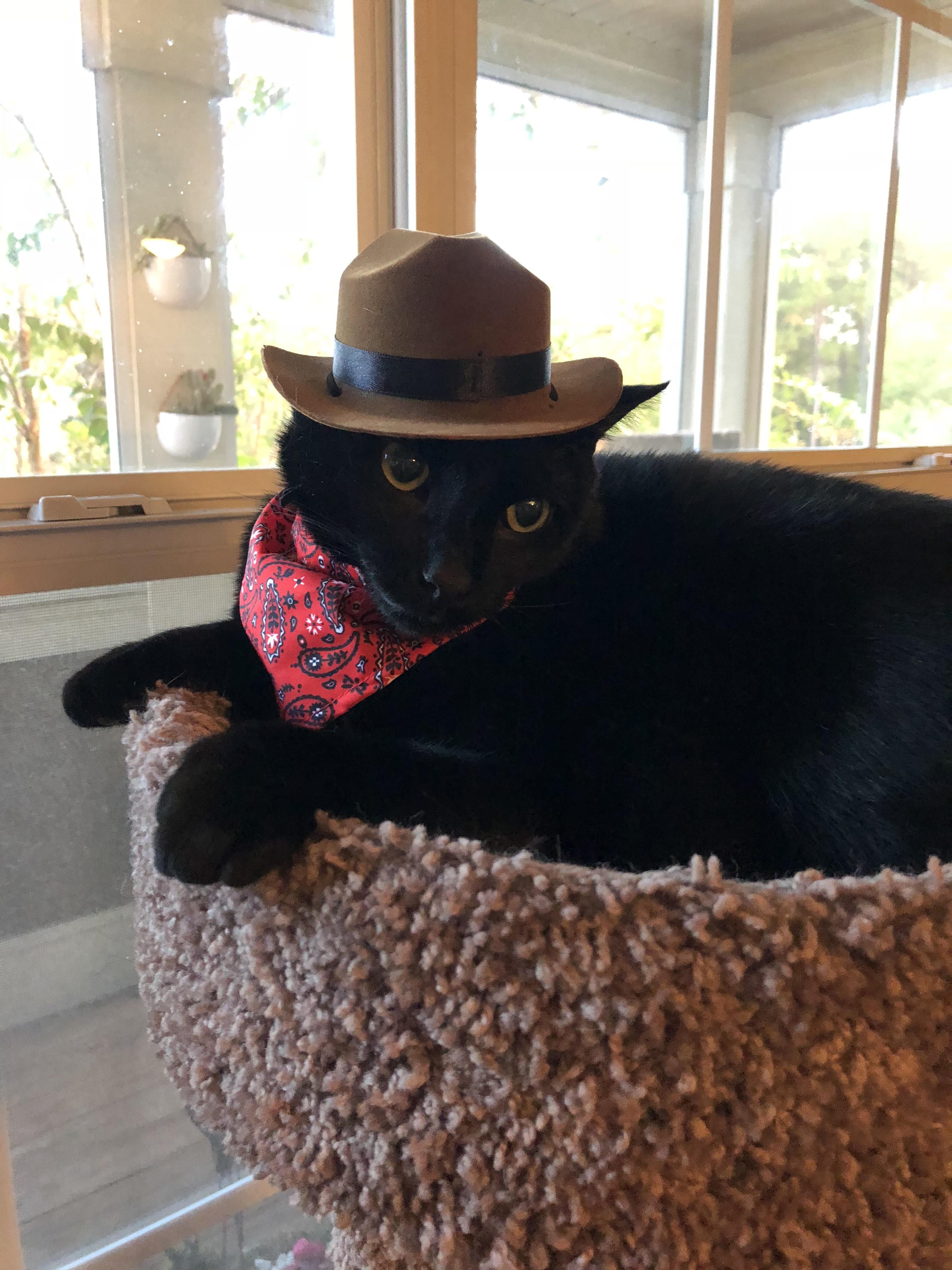 It’s high noon! | Scrolller