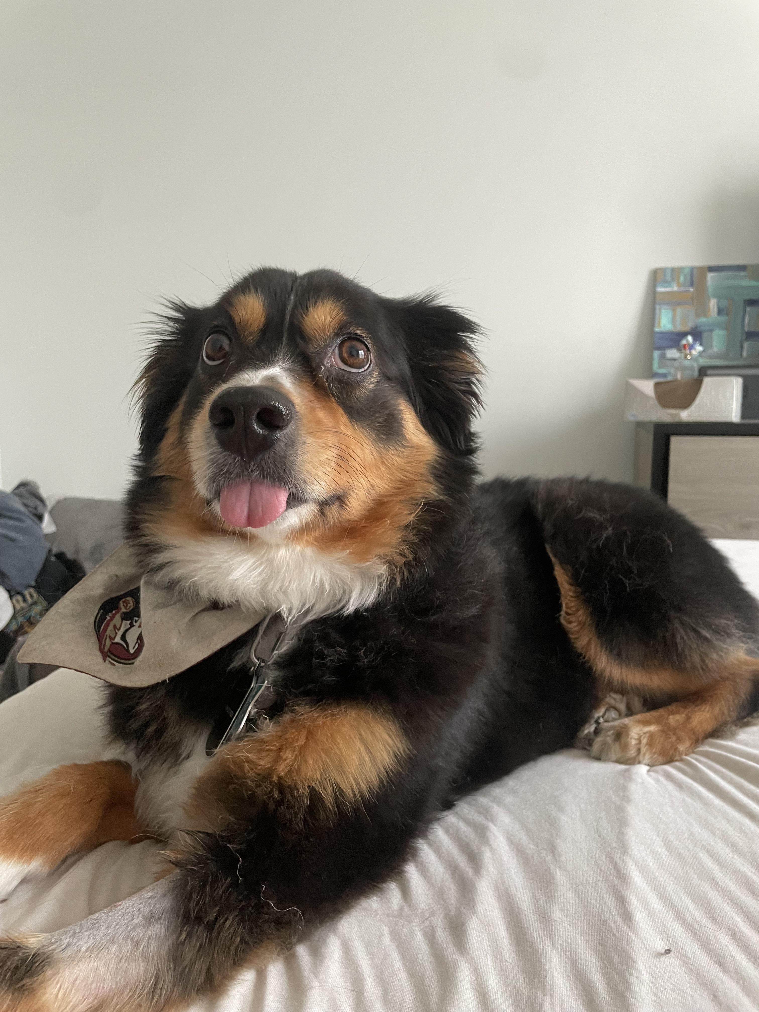 it’s hump day! | Scrolller